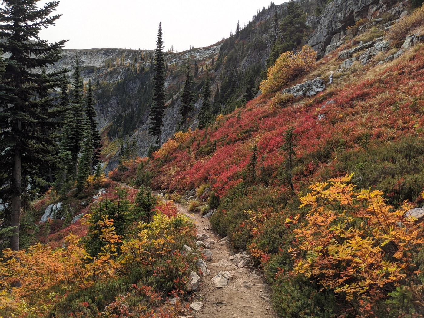 Heather - Maple Pass Loop — Washington Trails Association
