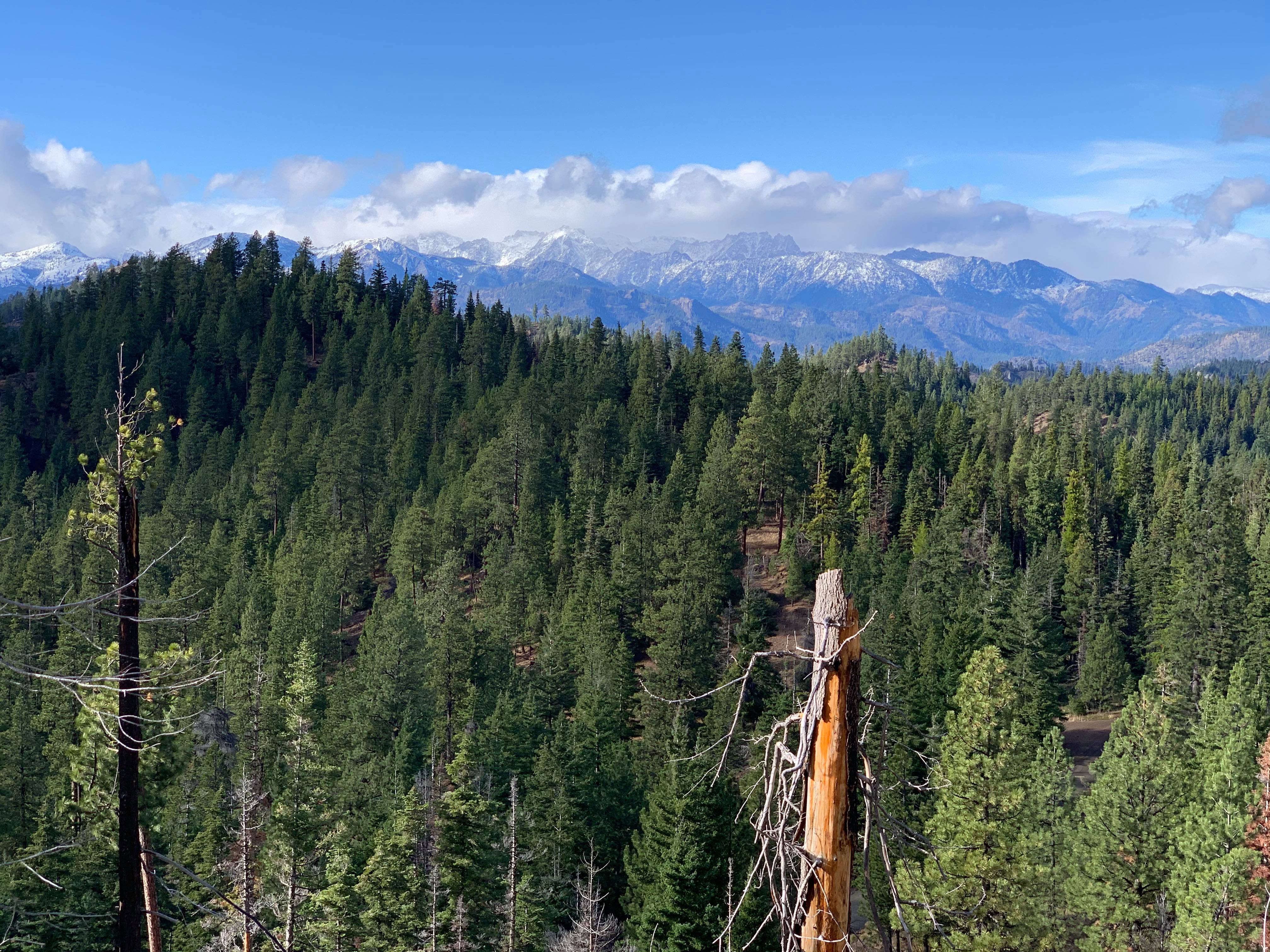 Swauk Forest Discovery Trail — Washington Trails Association