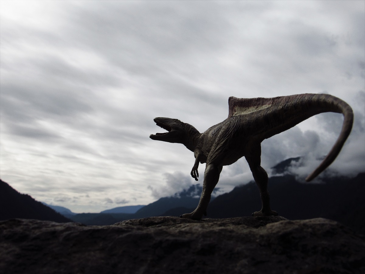 Garfield Ledges — Washington Trails Association