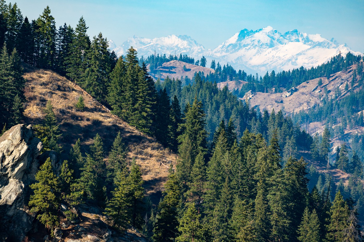 Mission Ridge — Washington Trails Association