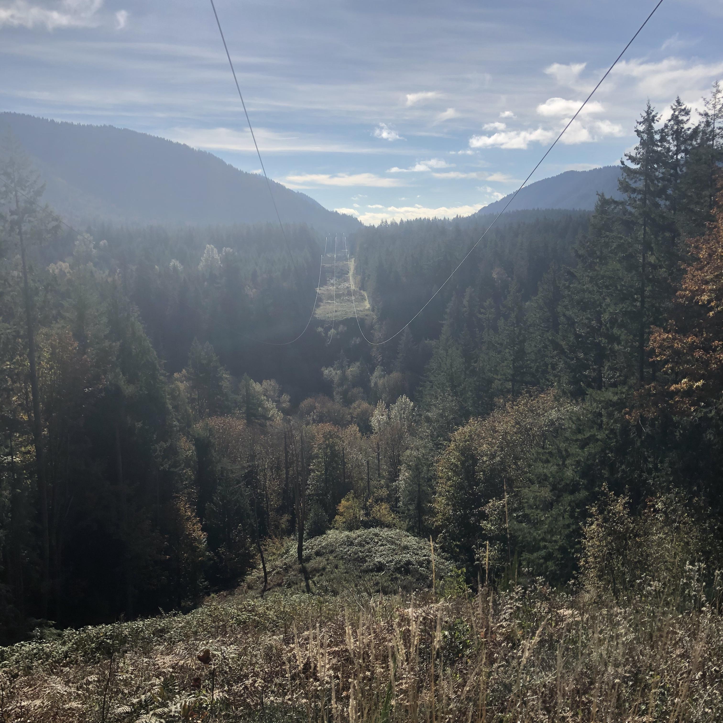 Grand Ridge Park — Washington Trails Association