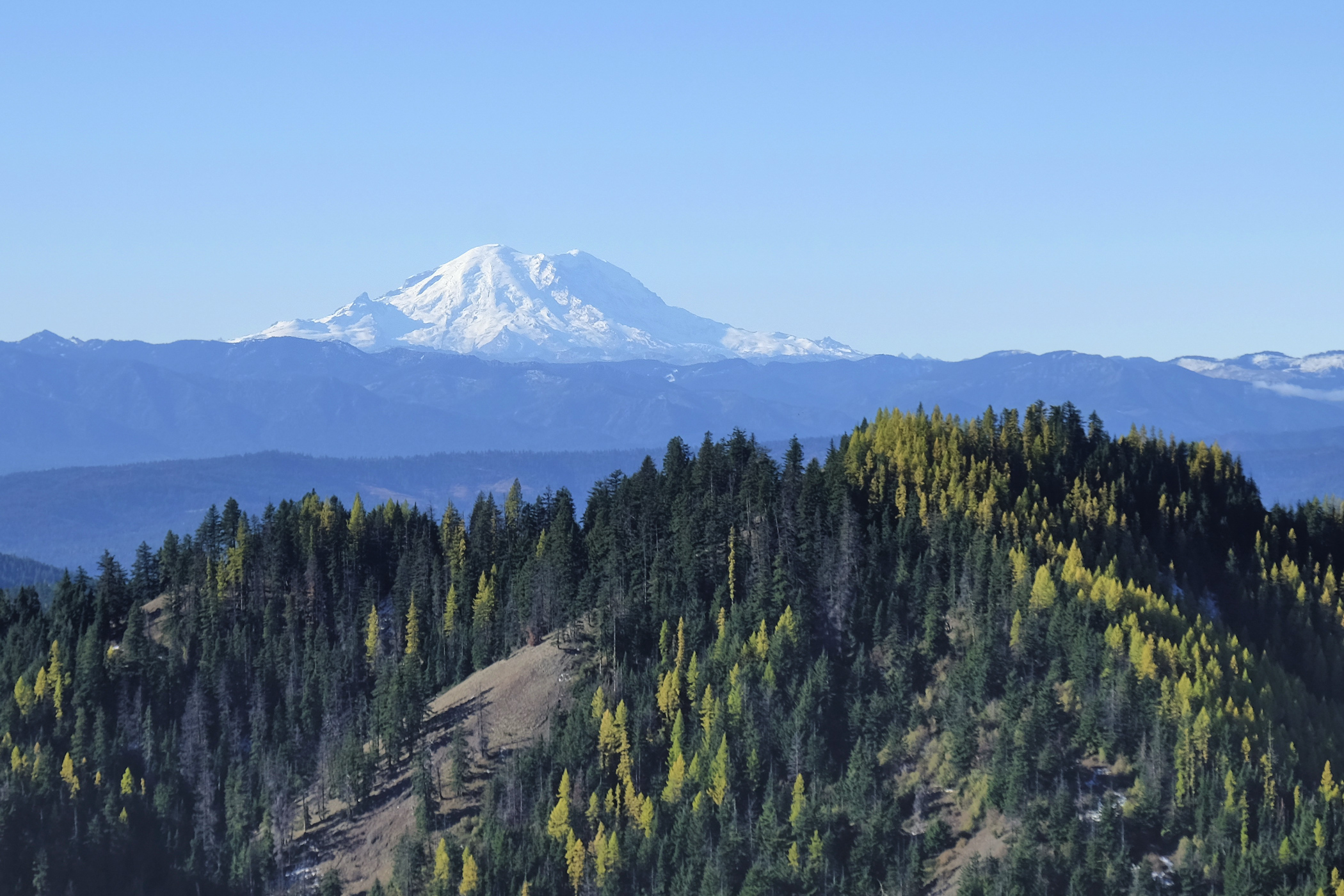 Iron Bear - Teanaway Ridge — Washington Trails Association
