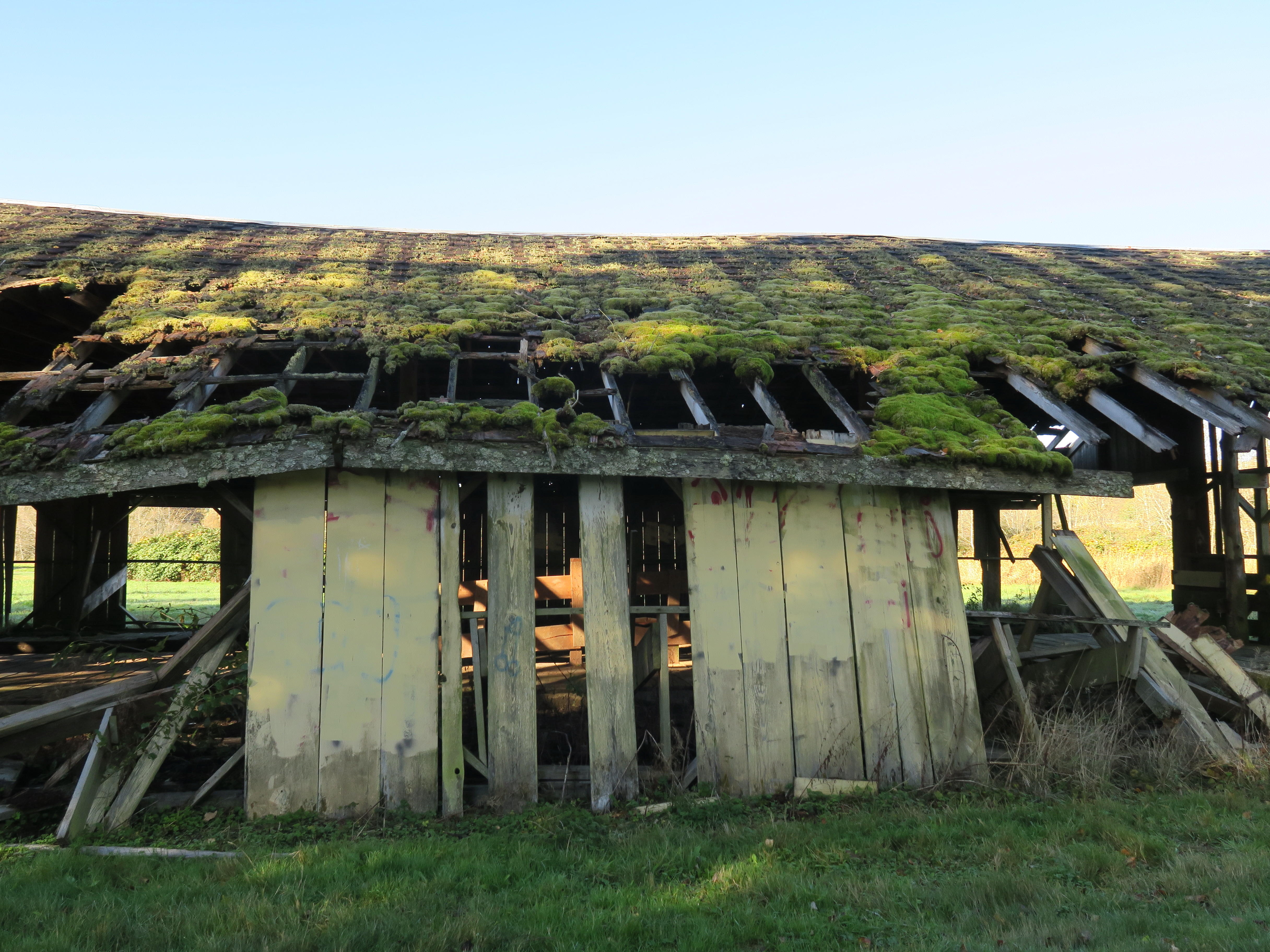 Northern State Ghost Town — Washington Trails Association