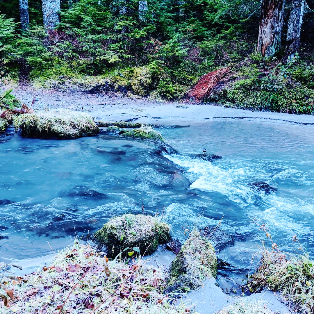 Toutle Trail, Toutle Trail - Kalama Horse Camp to Red Rock Pass ...