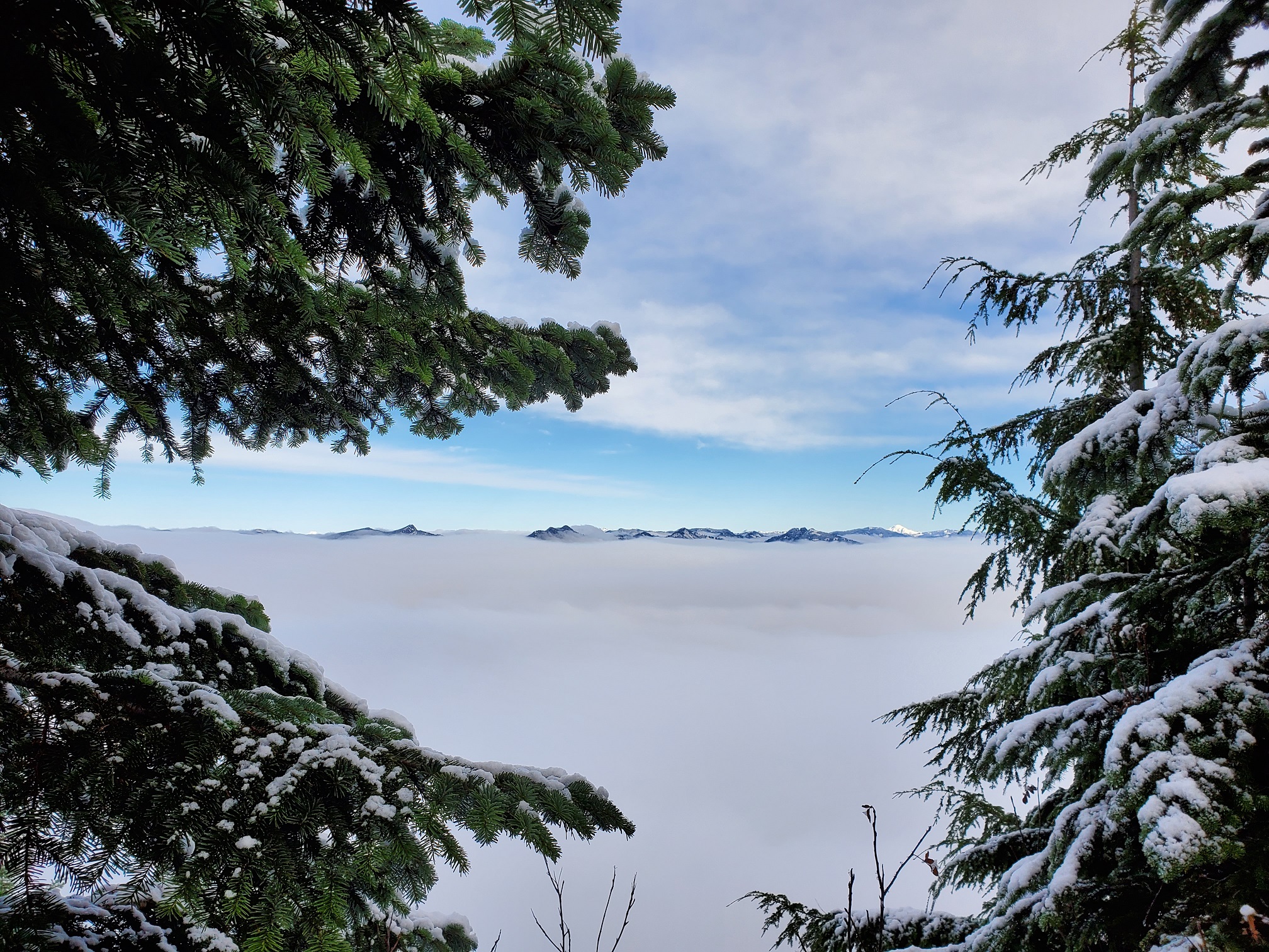 Mount Washington — Washington Trails Association