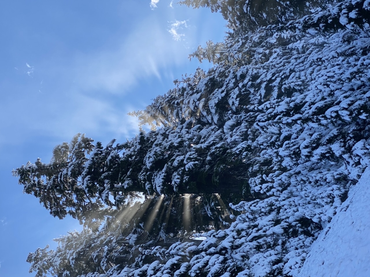 McClellan Butte — Washington Trails Association