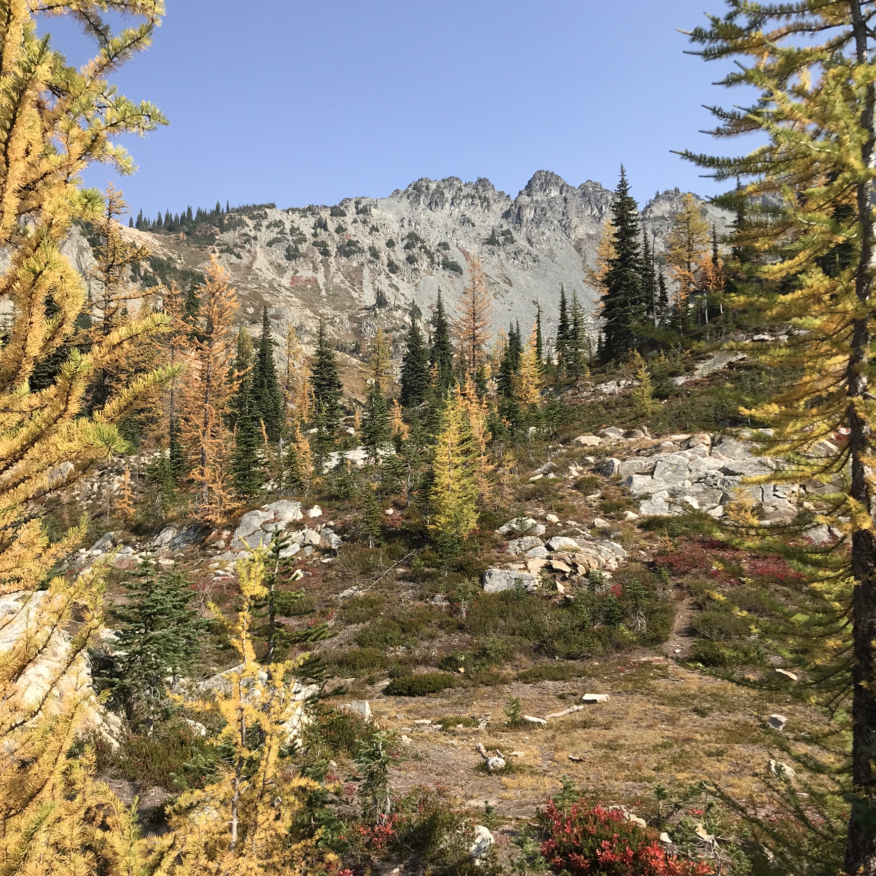 Copper Pass via Copper Creek — Washington Trails Association