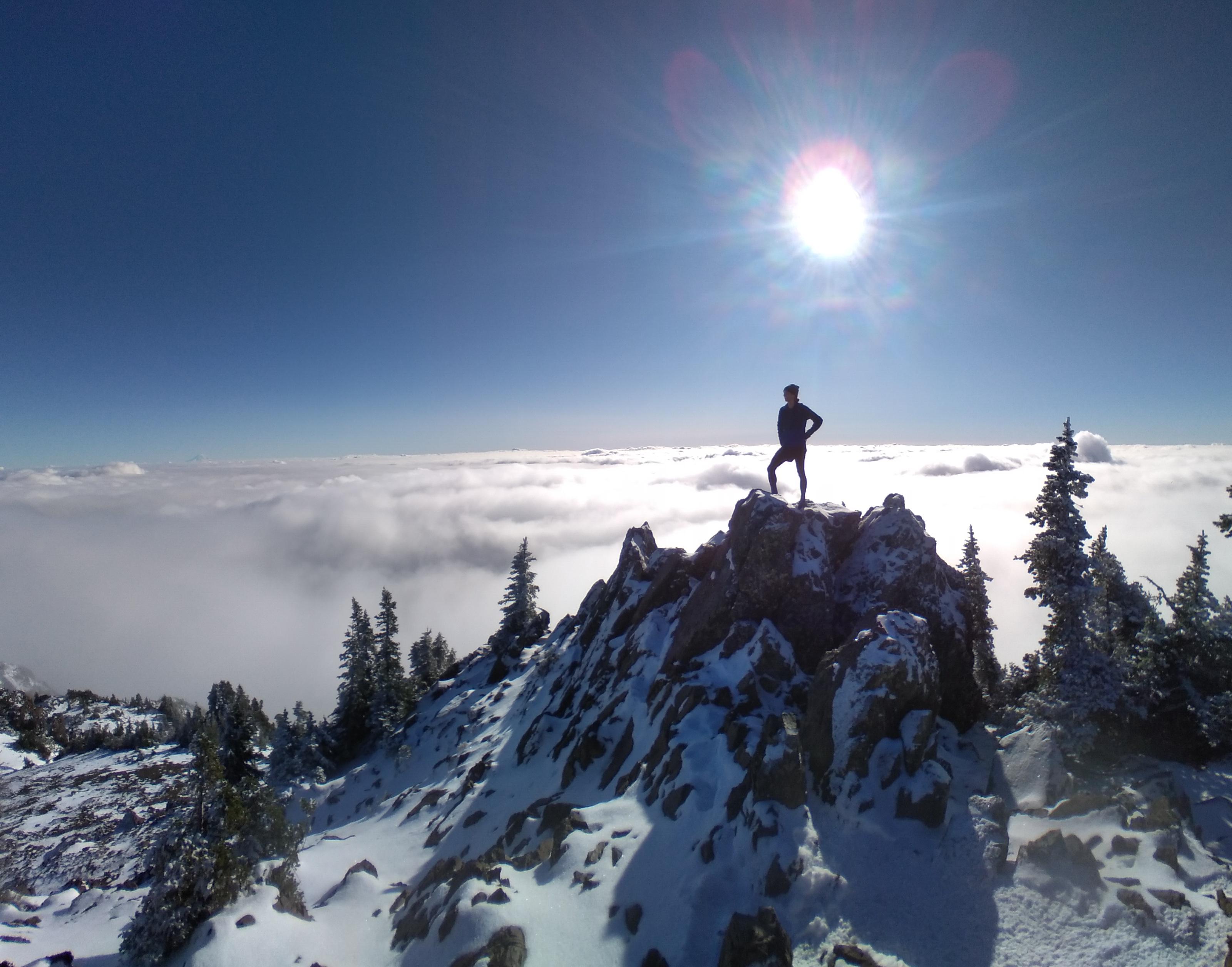 Mount Ellinor — Washington Trails Association