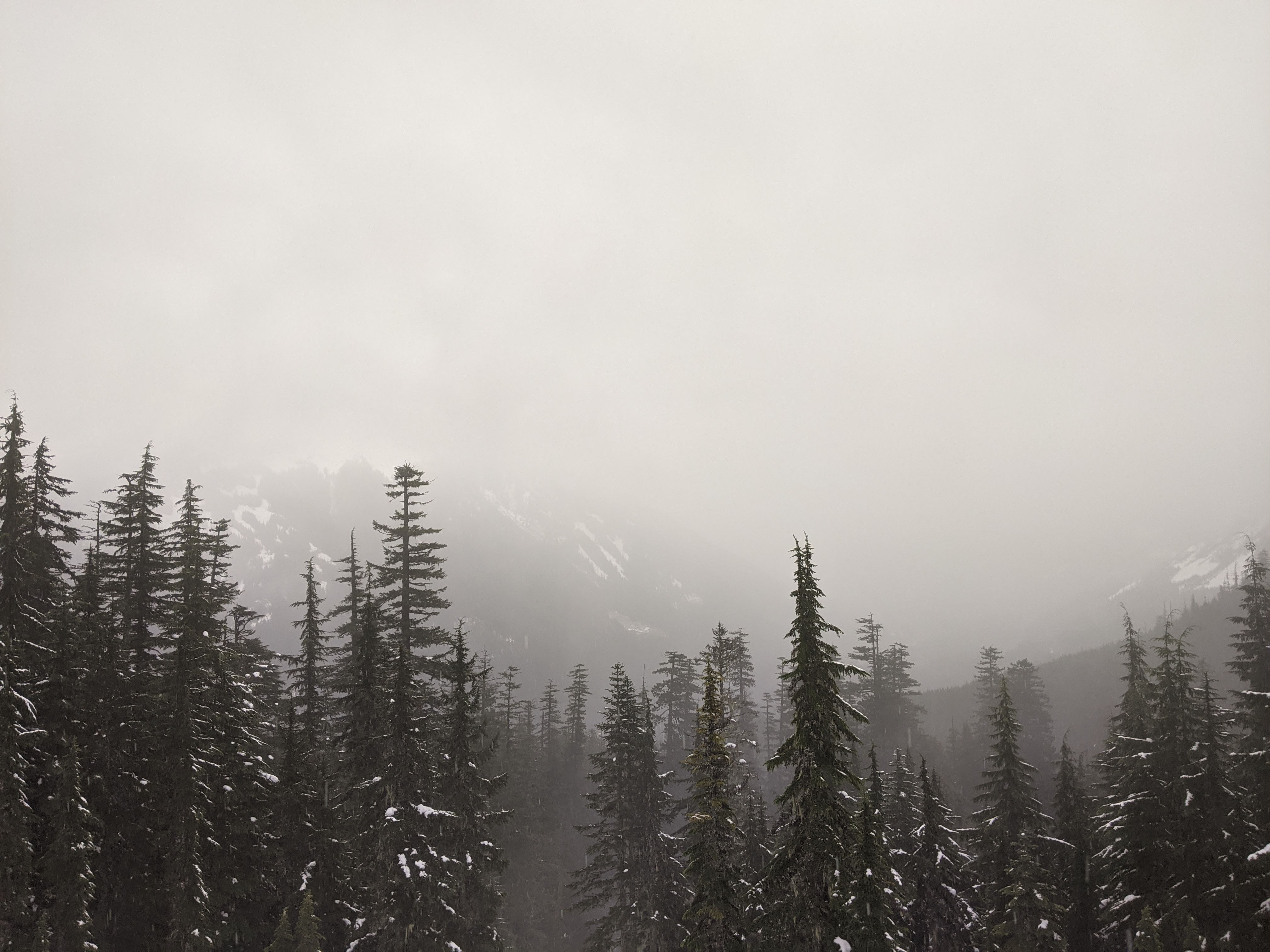 McClellan Butte — Washington Trails Association