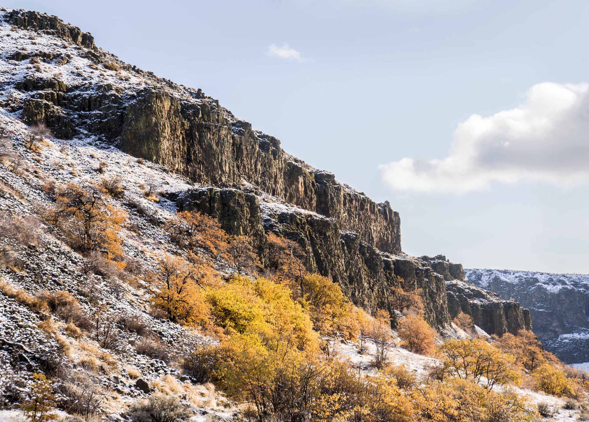 Oak Creek Road - Bethel Ridge, Bear Canyon — Washington Trails Association