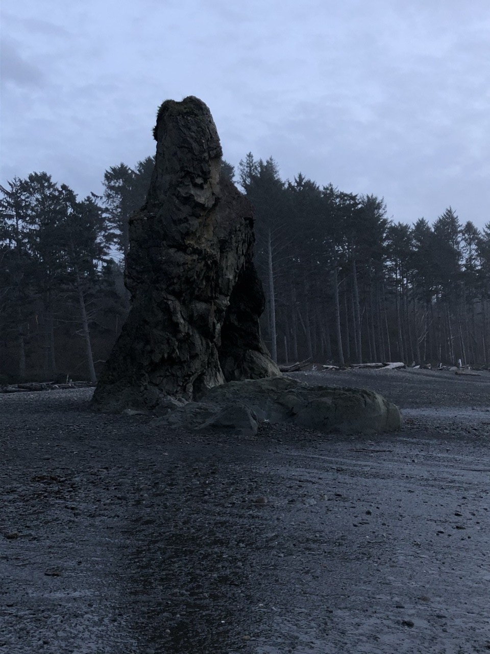 Ruby Beach — Washington Trails Association