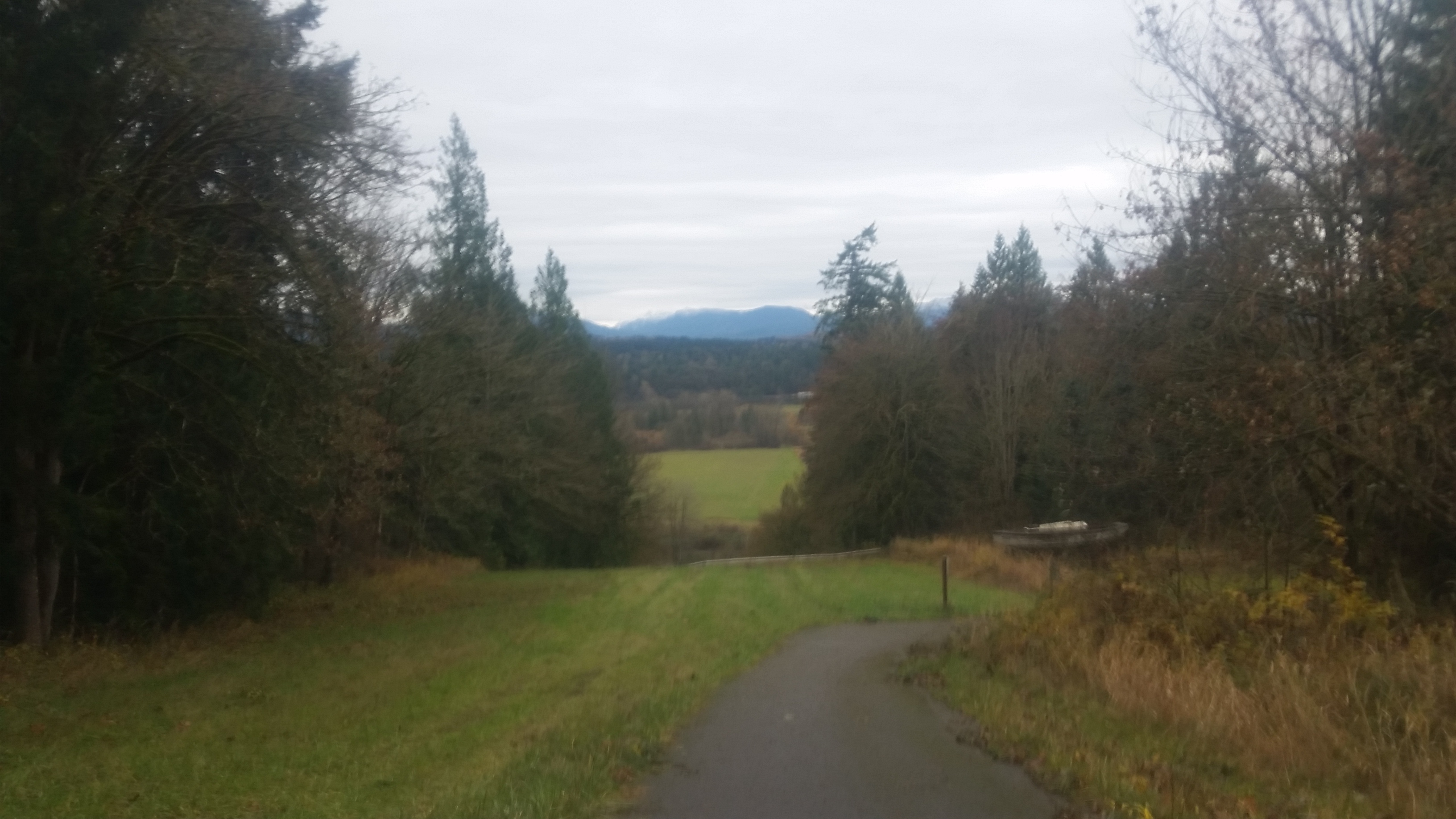 Tolt Pipeline Trail — Washington Trails Association