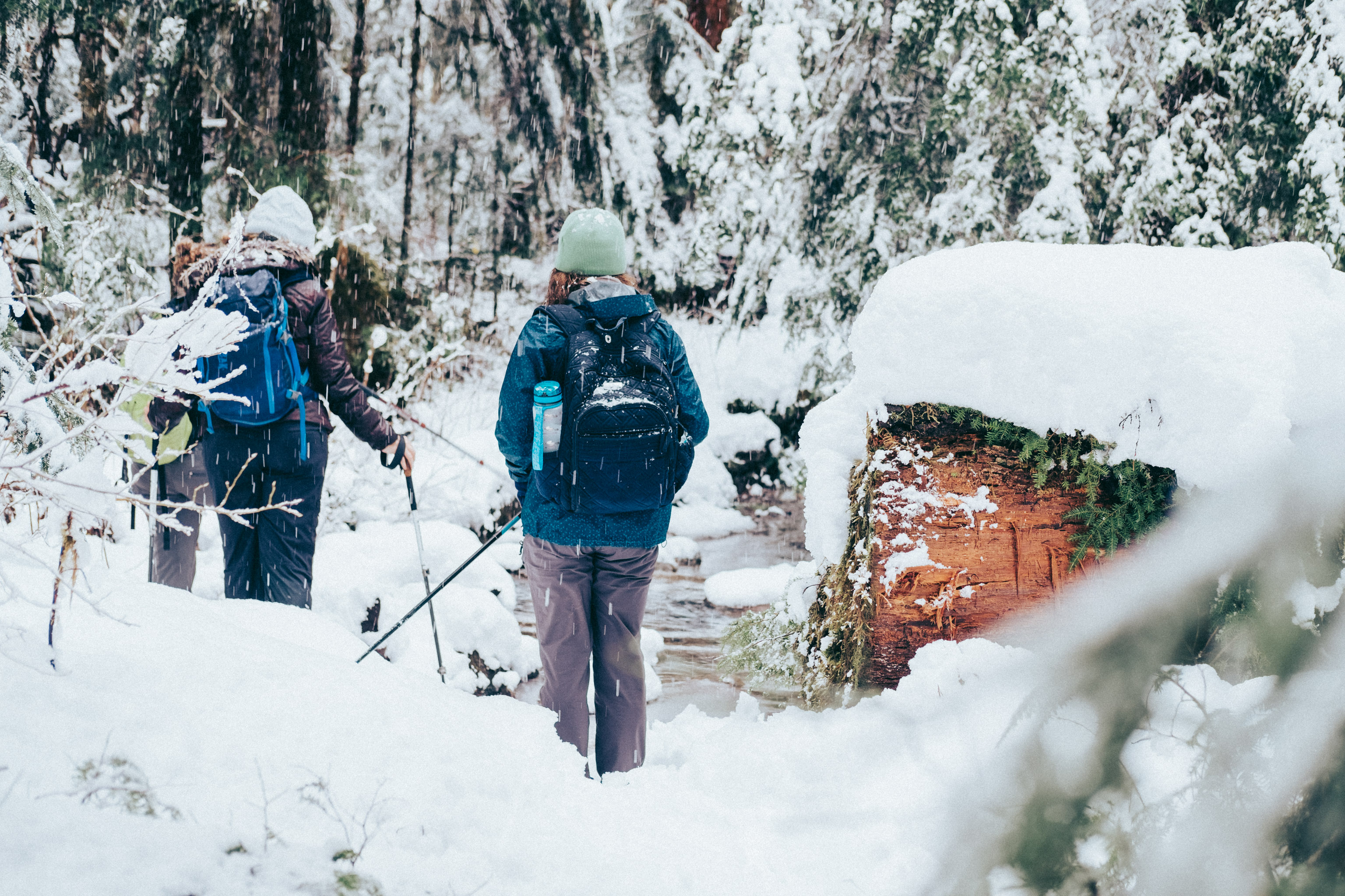 Goat Lake — Washington Trails Association