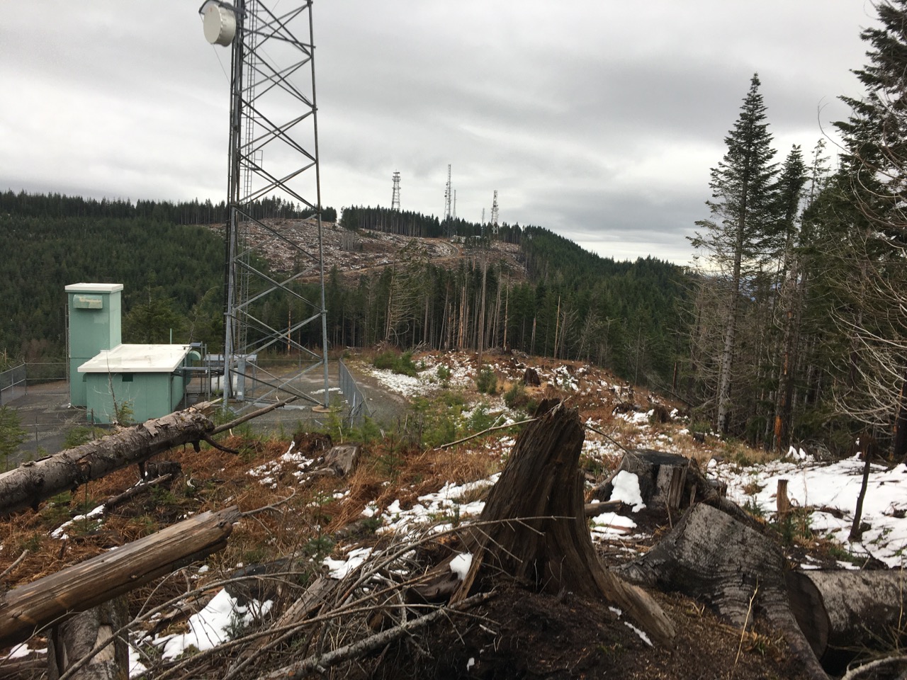 Rattlesnake Mountain — Washington Trails Association