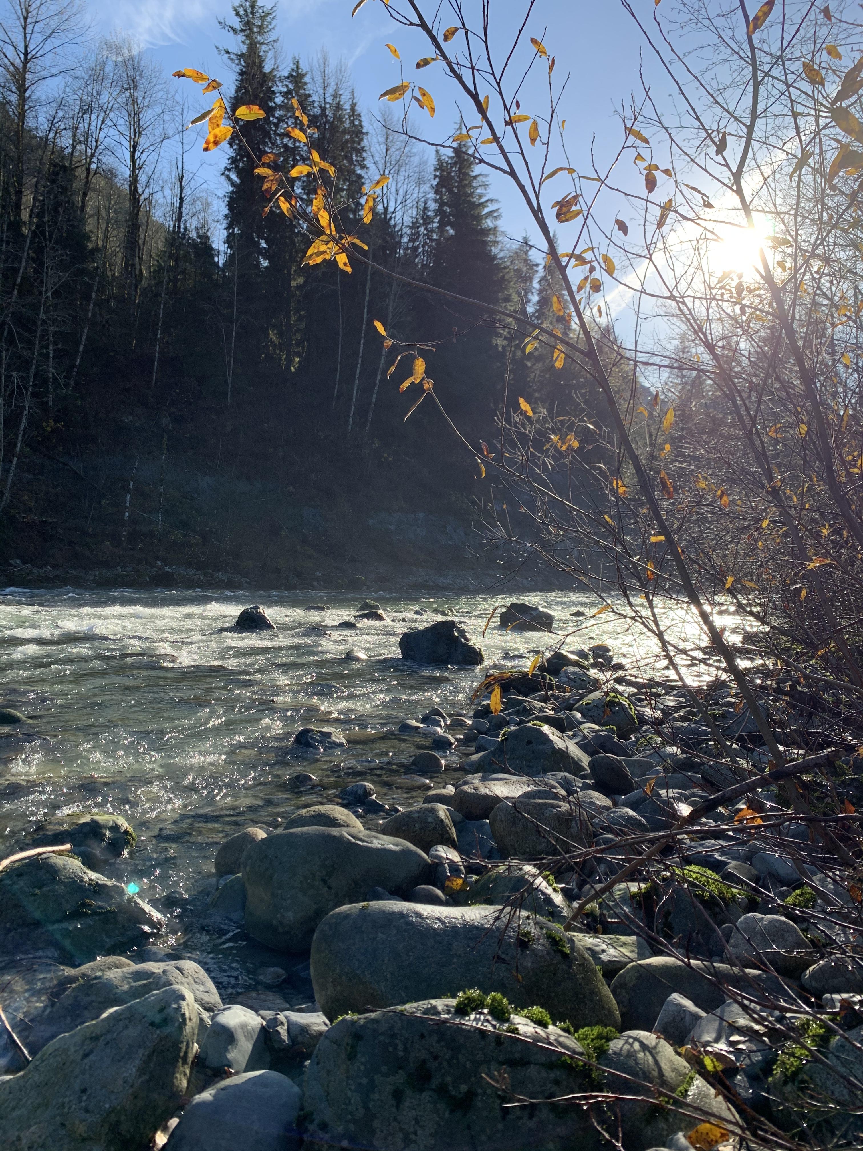 Oxbow Loop Trail — Washington Trails Association