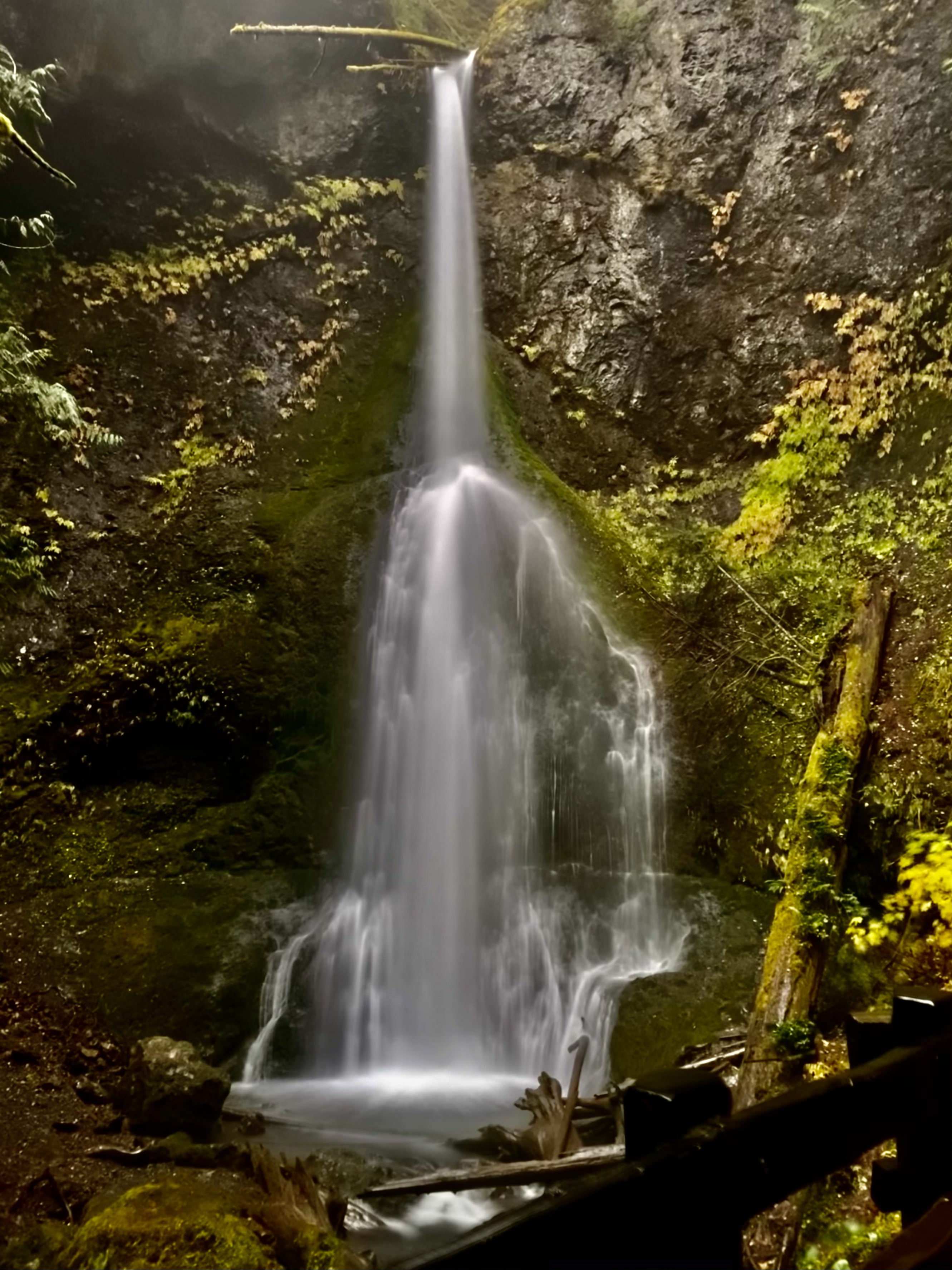 Marymere Falls — Washington Trails Association