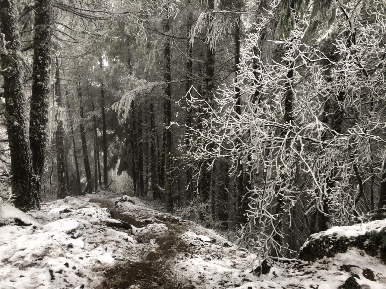 Mount Si — Washington Trails Association