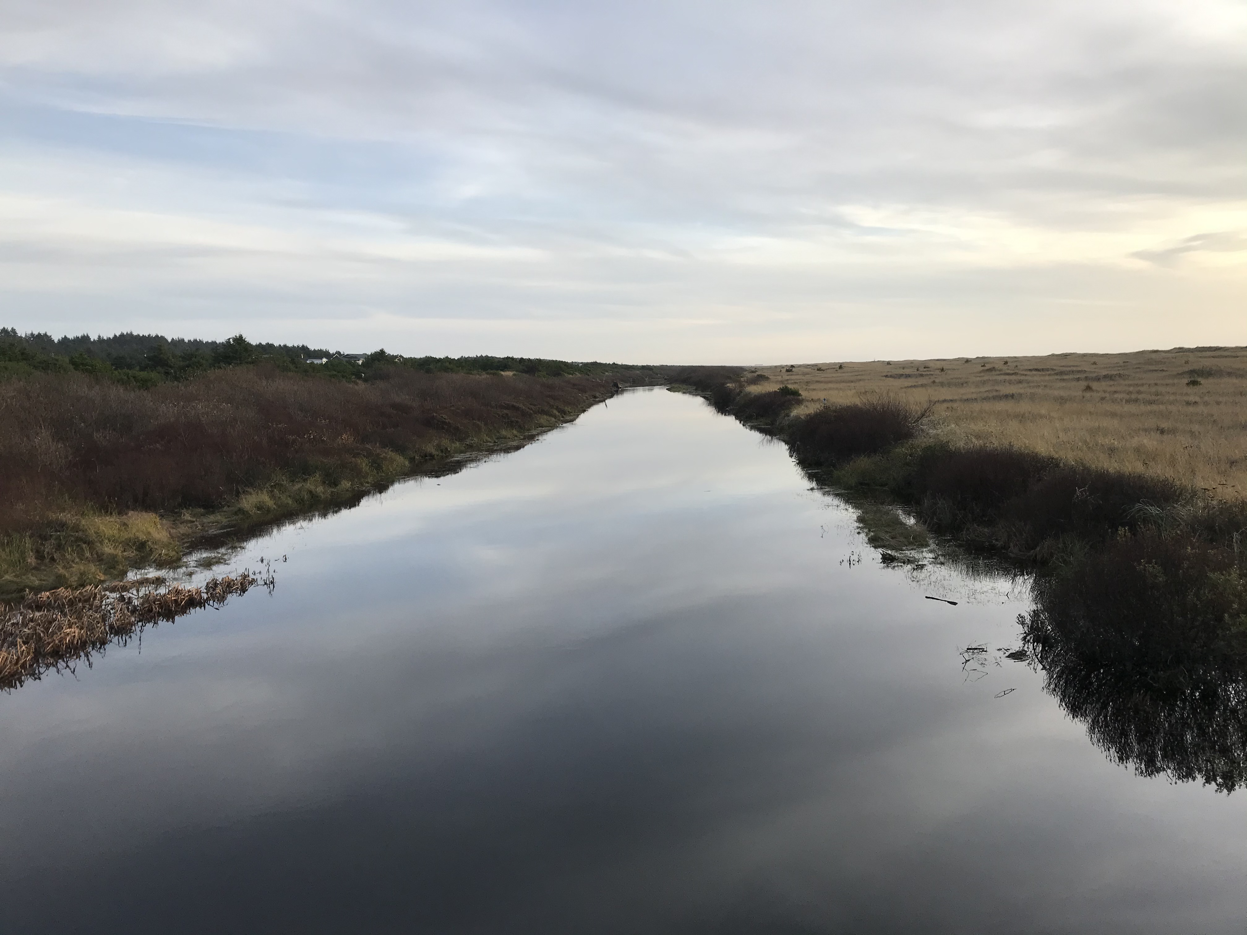 Griffiths-Priday State Park - Copalis River Spit — Washington Trails ...