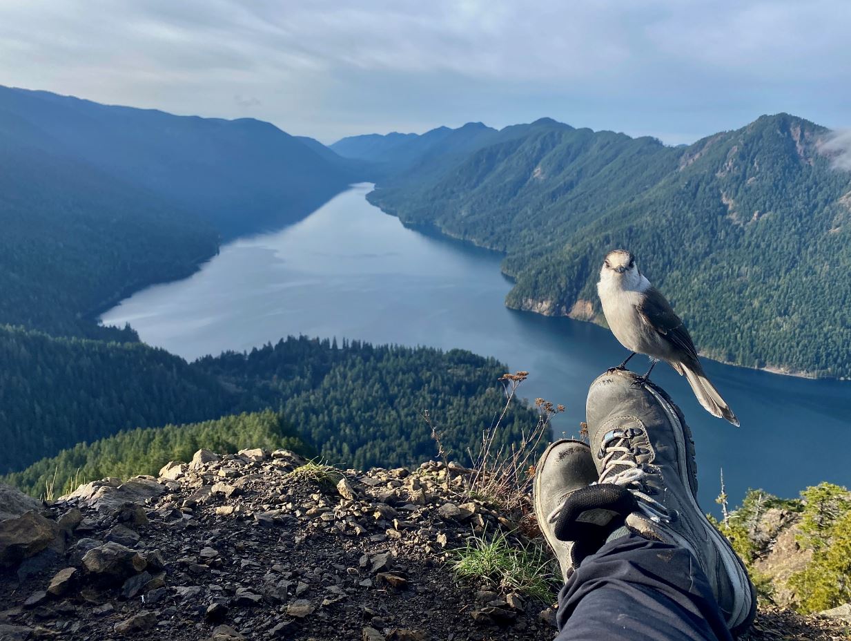 Mount Storm King — Washington Trails Association