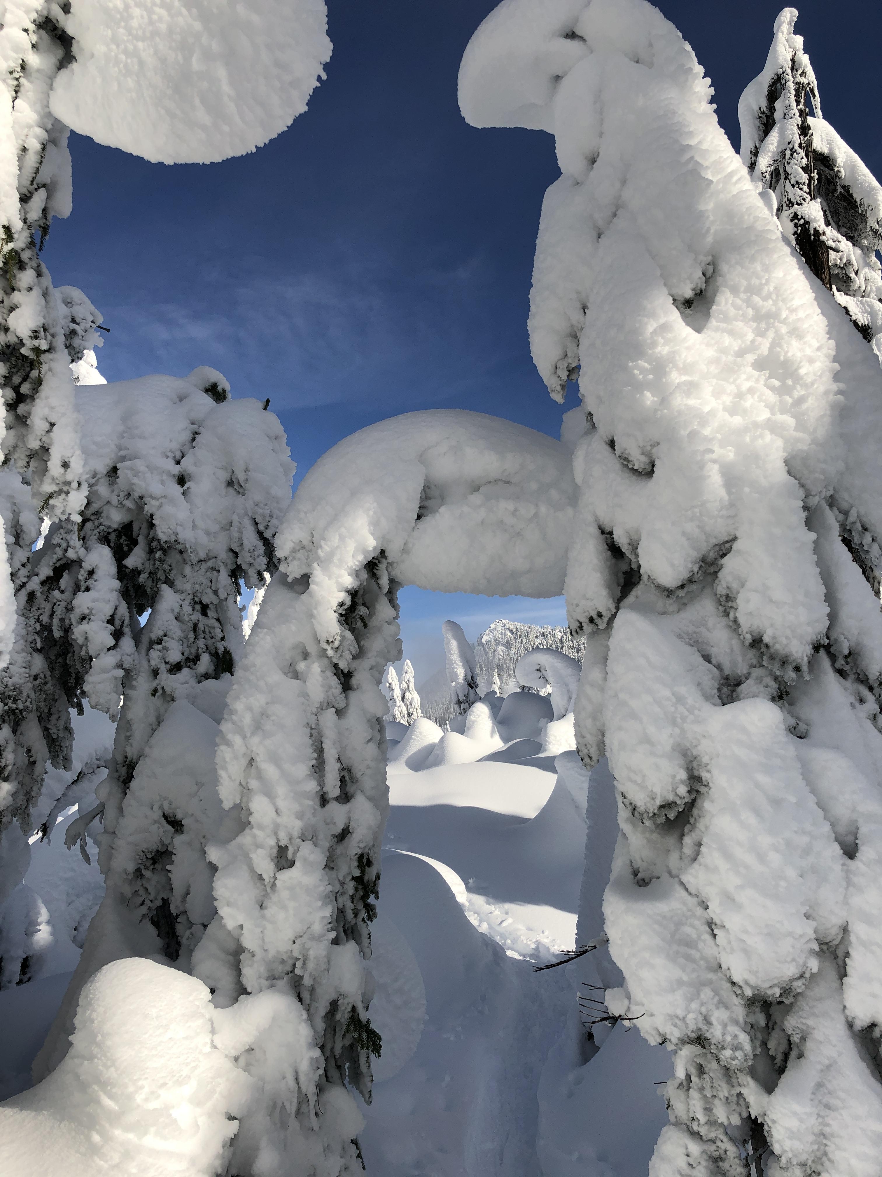 Snow Lake - Winter, Source Lake - Winter Route — Washington Trails ...