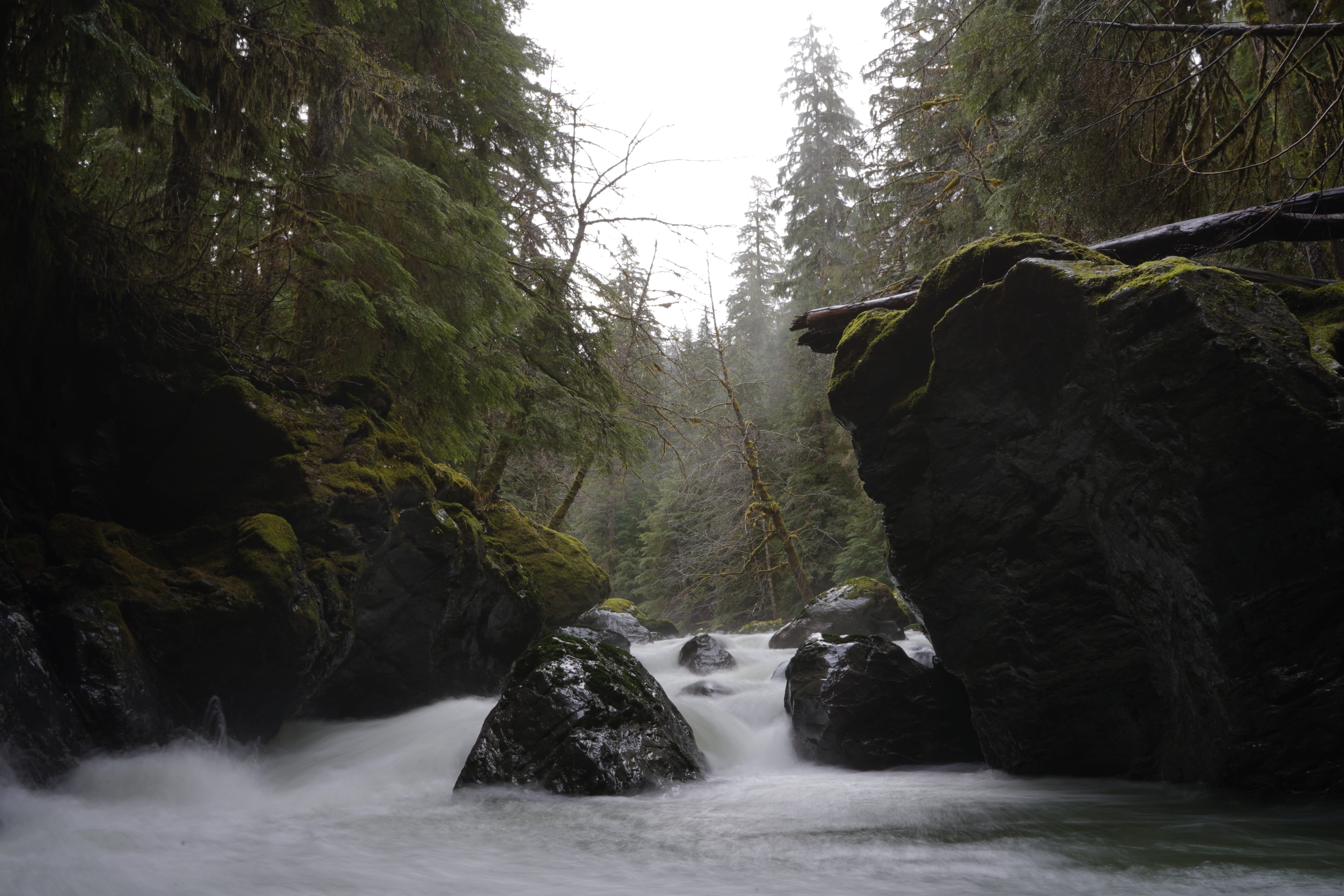 Boulder River — Washington Trails Association