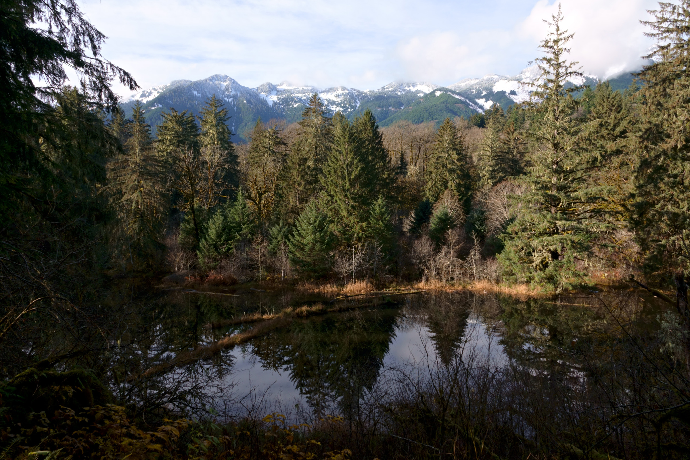 Oxbow Loop Trail — Washington Trails Association