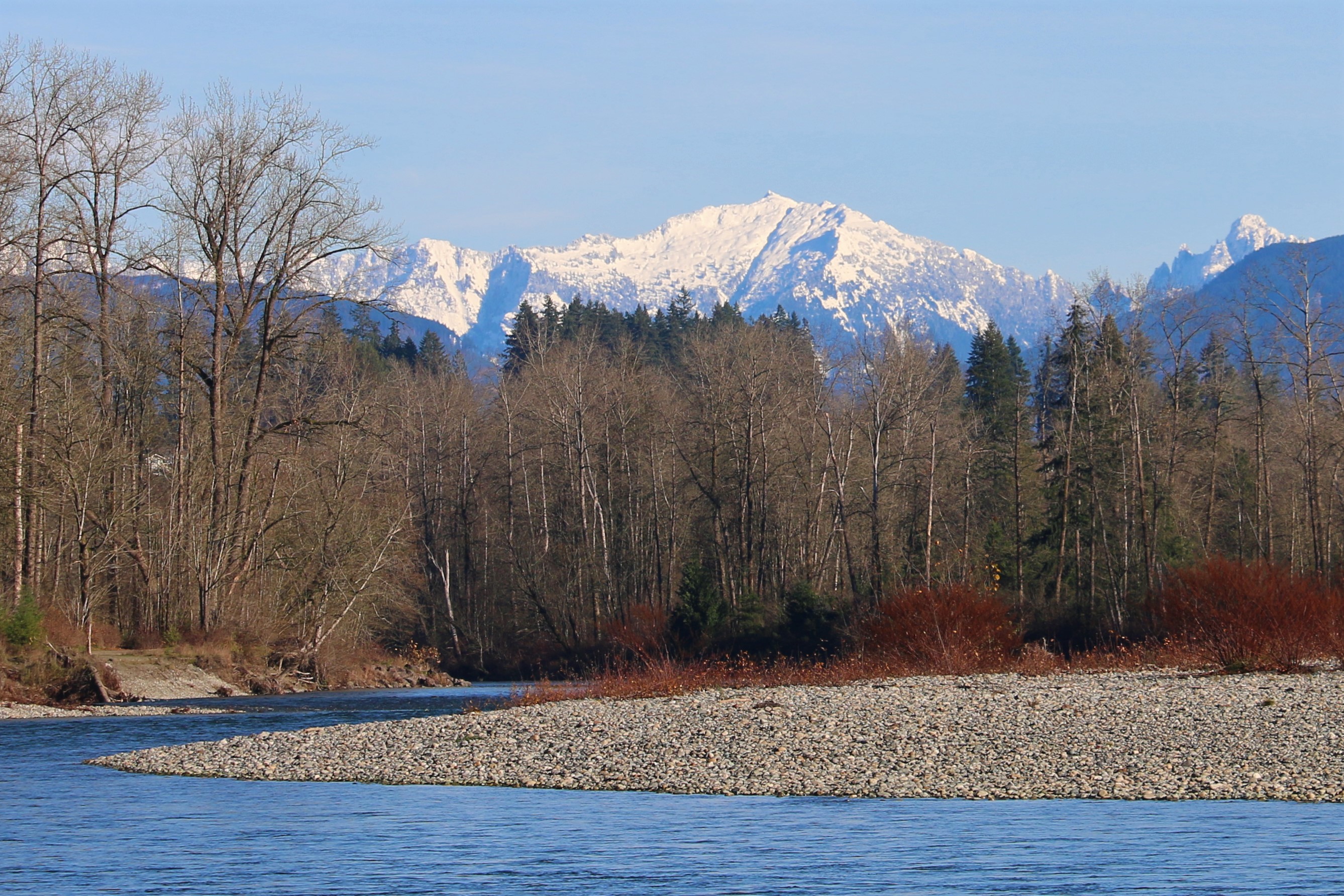 Al Borlin Park — Washington Trails Association