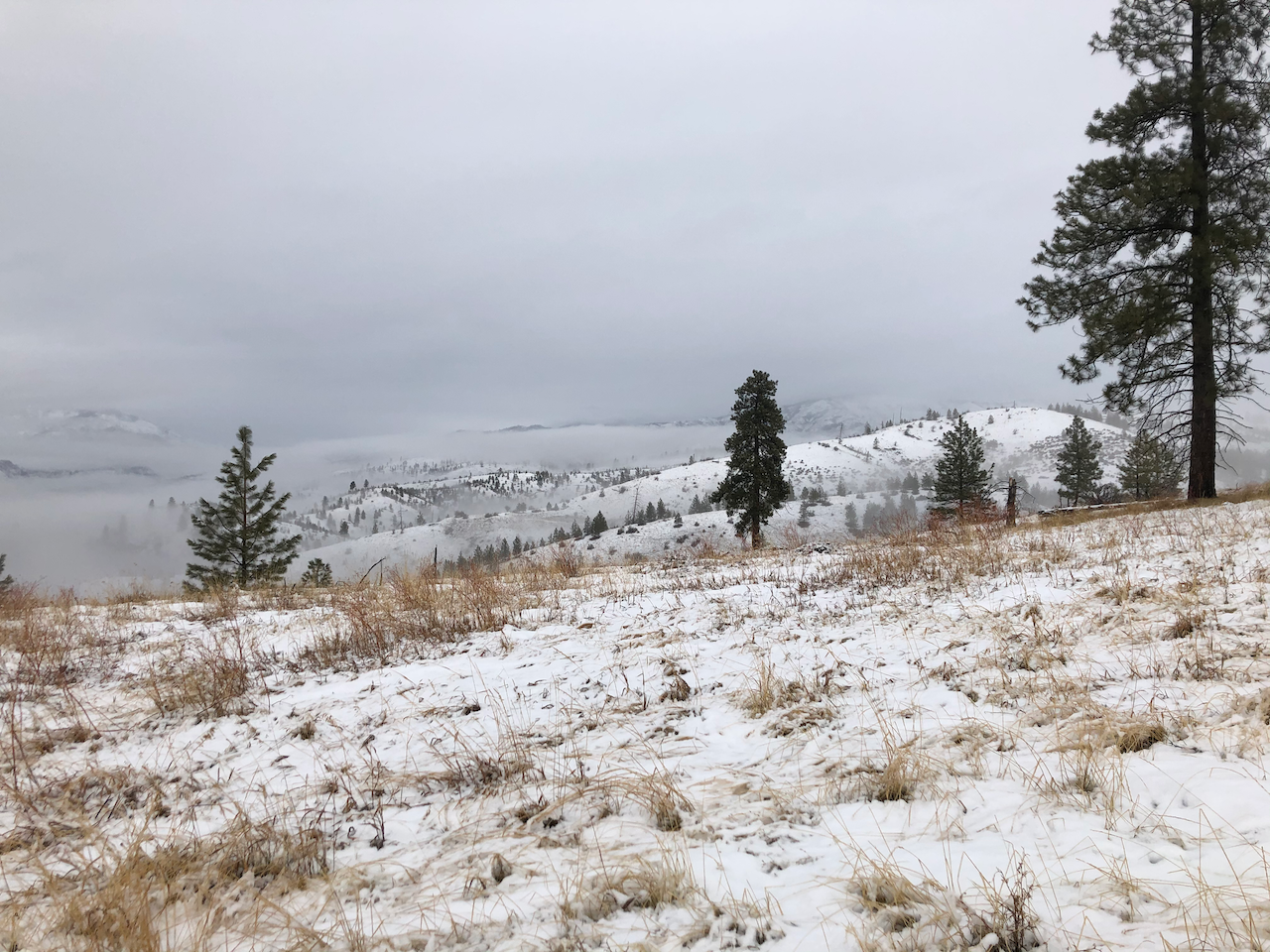 Steliko Lookout — Washington Trails Association