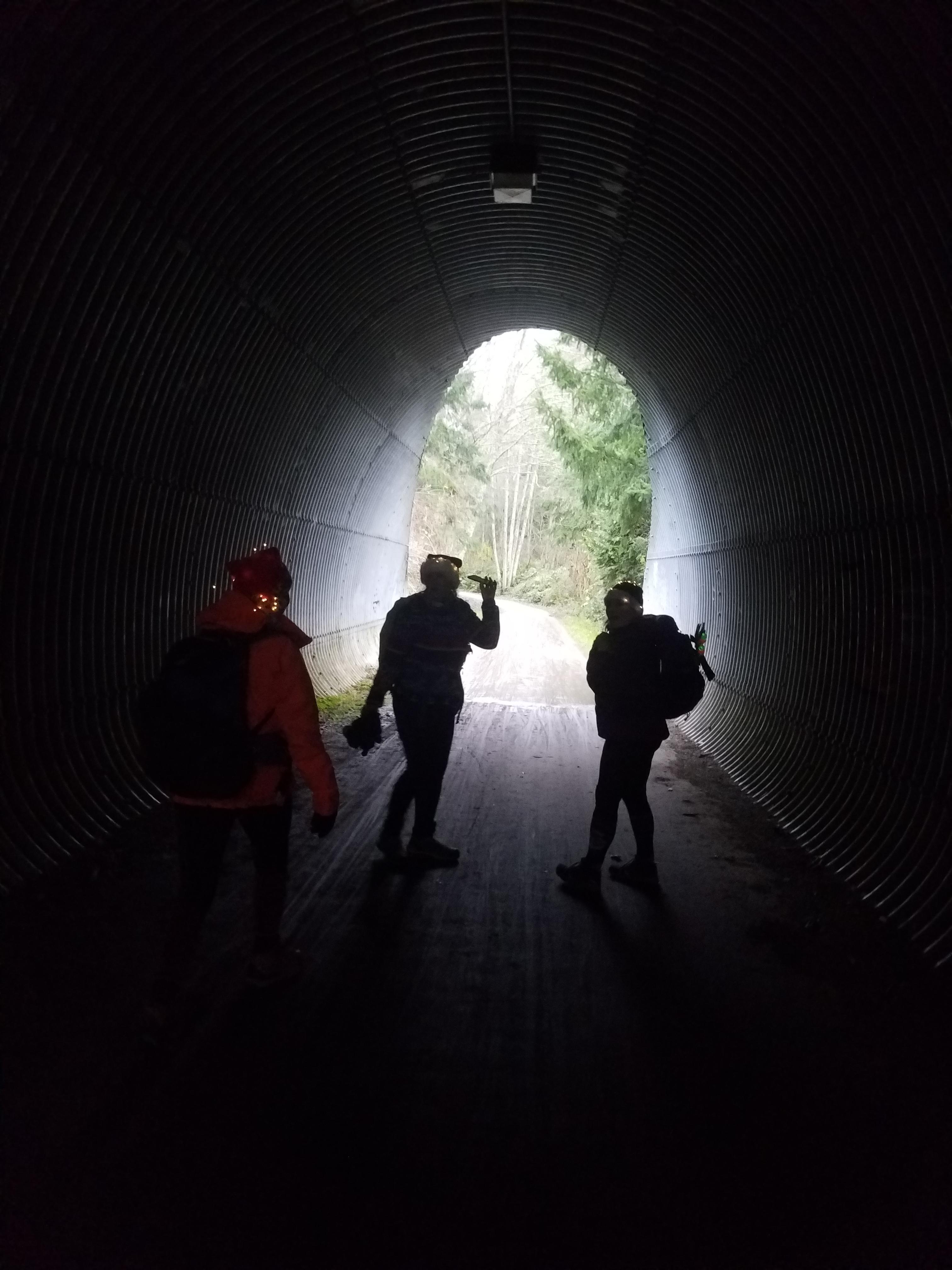 Larry Scott Trail — Washington Trails Association