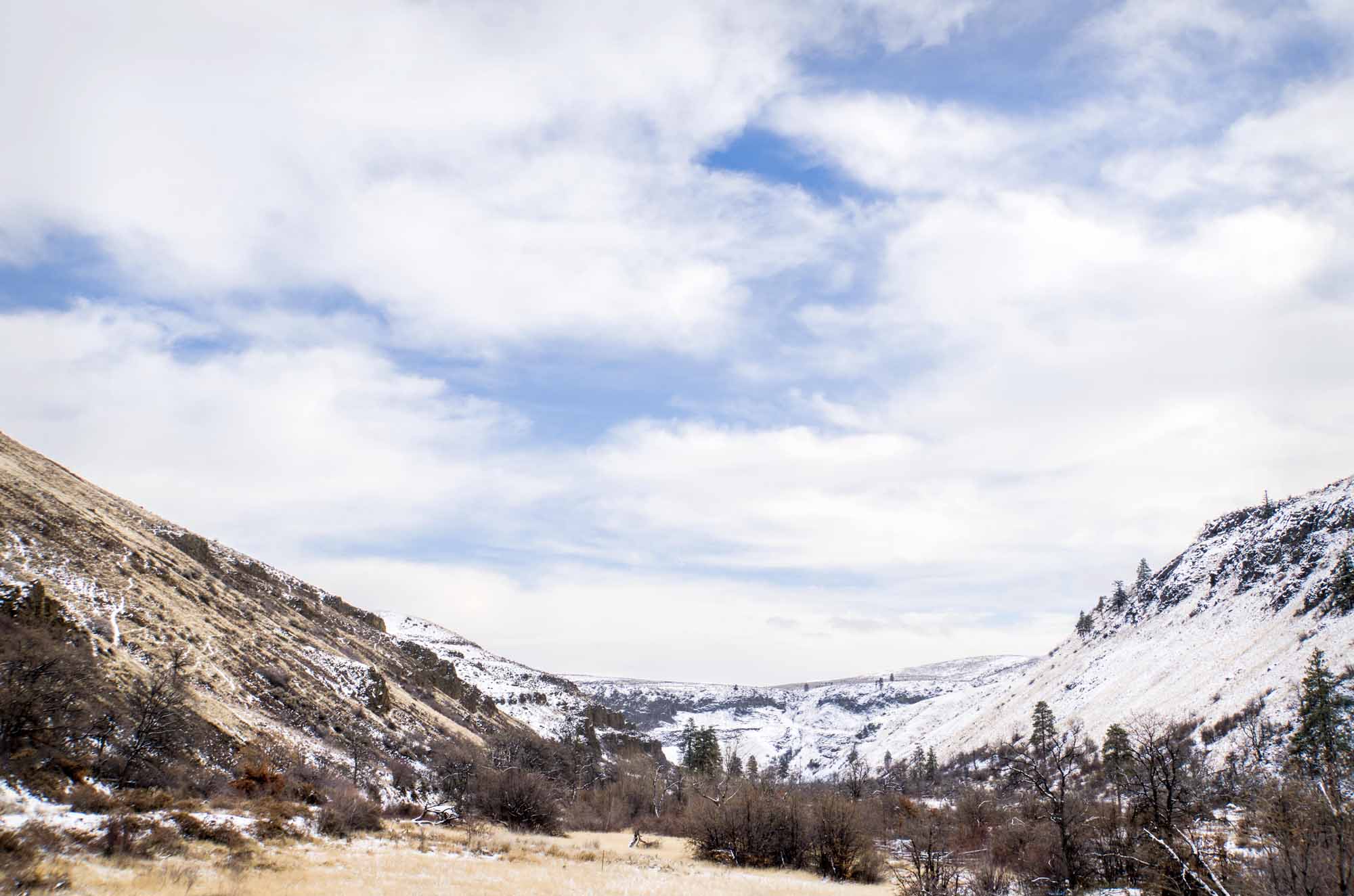 Oak Creek Road - Bethel Ridge — Washington Trails Association