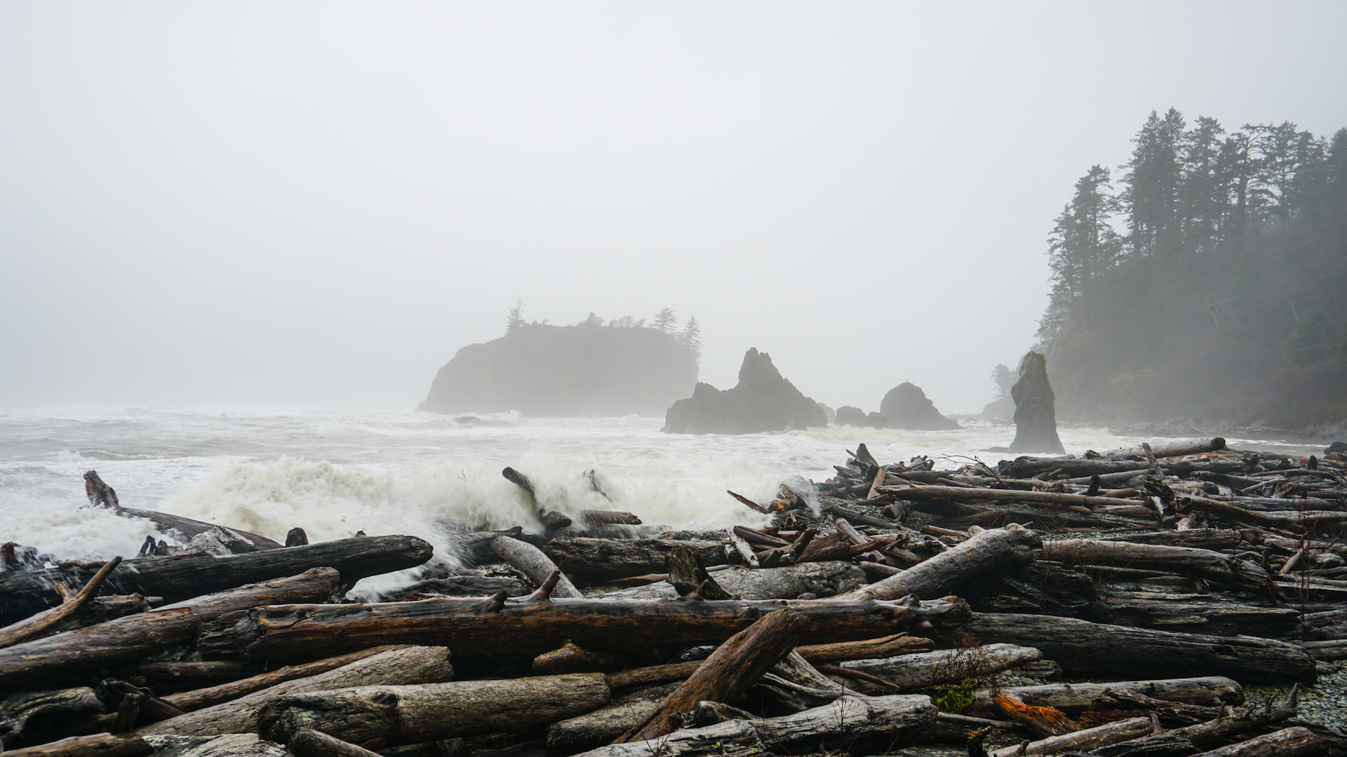 Ruby Beach — Washington Trails Association