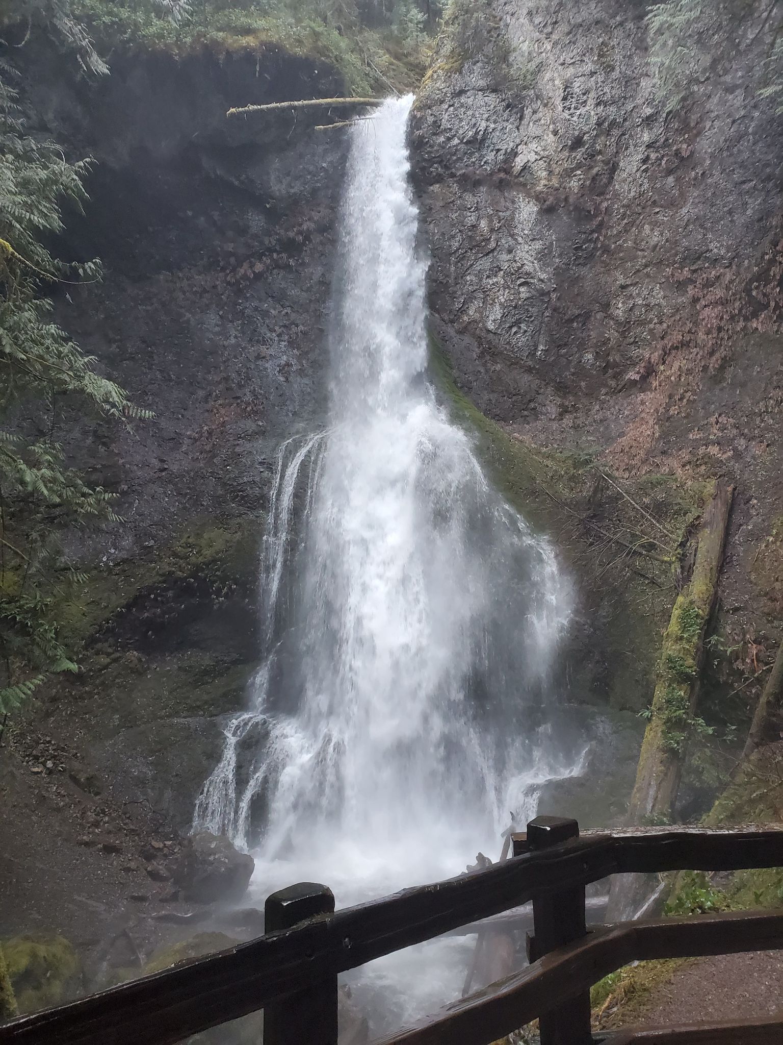 Marymere Falls — Washington Trails Association
