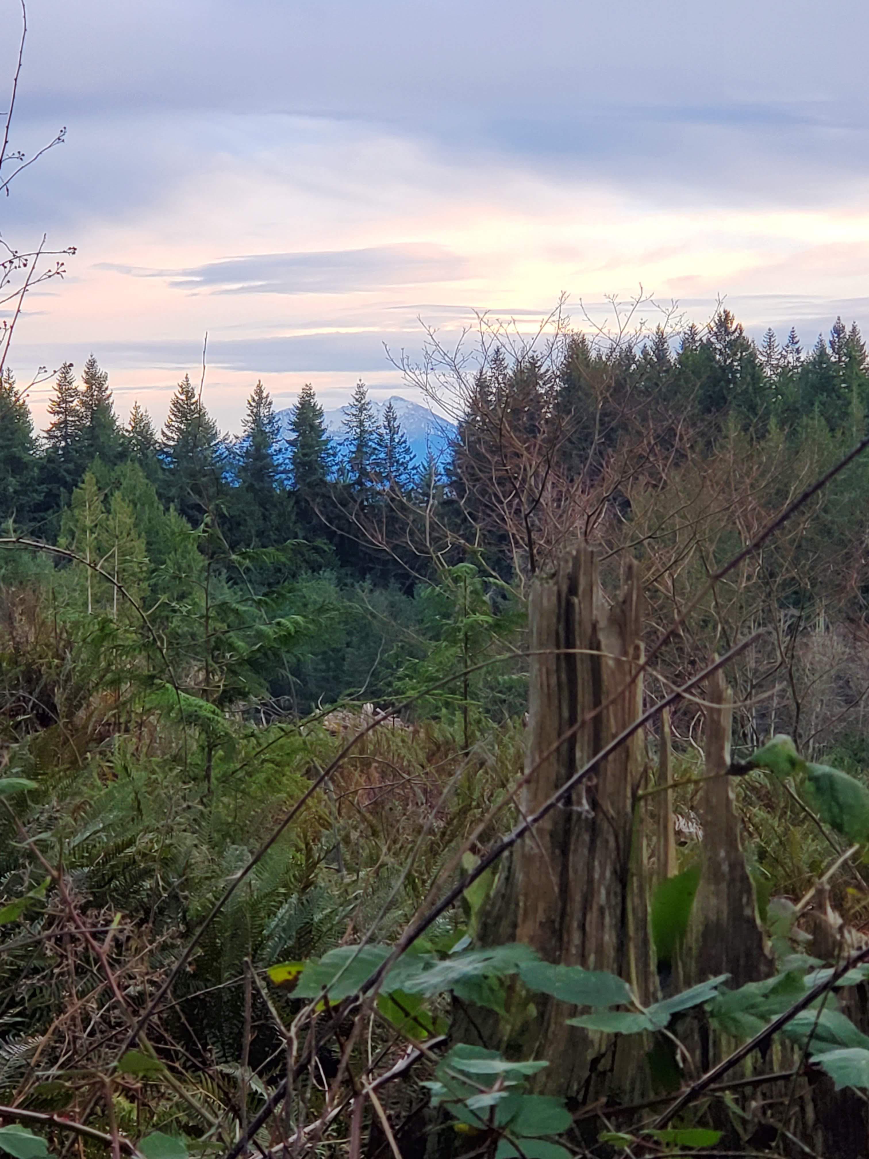 Pilchuck Tree Farm — Washington Trails Association