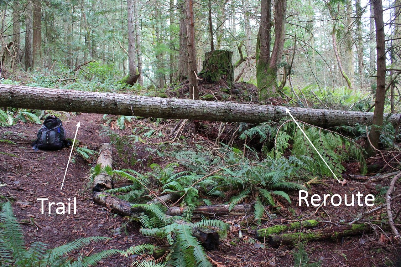 John Tursi Trail, Deception Pass State Park - Pass Lake — Washington ...