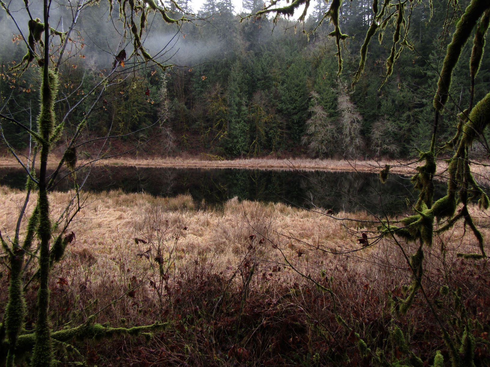 Marckworth Forest — Washington Trails Association