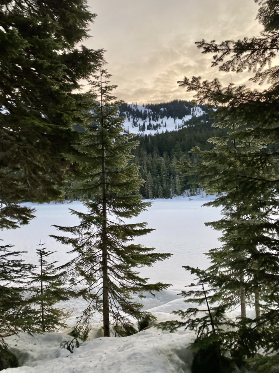 Olallie Lake via Pratt Lake Trail — Washington Trails Association