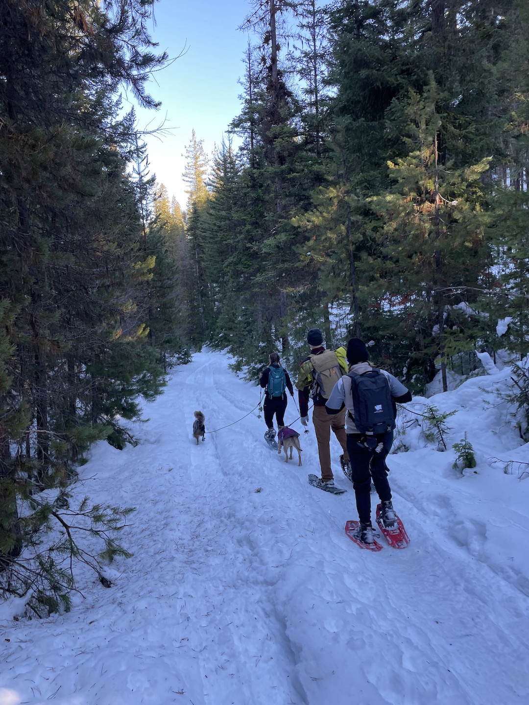 Pipe Creek Loop Snowshoe — Washington Trails Association