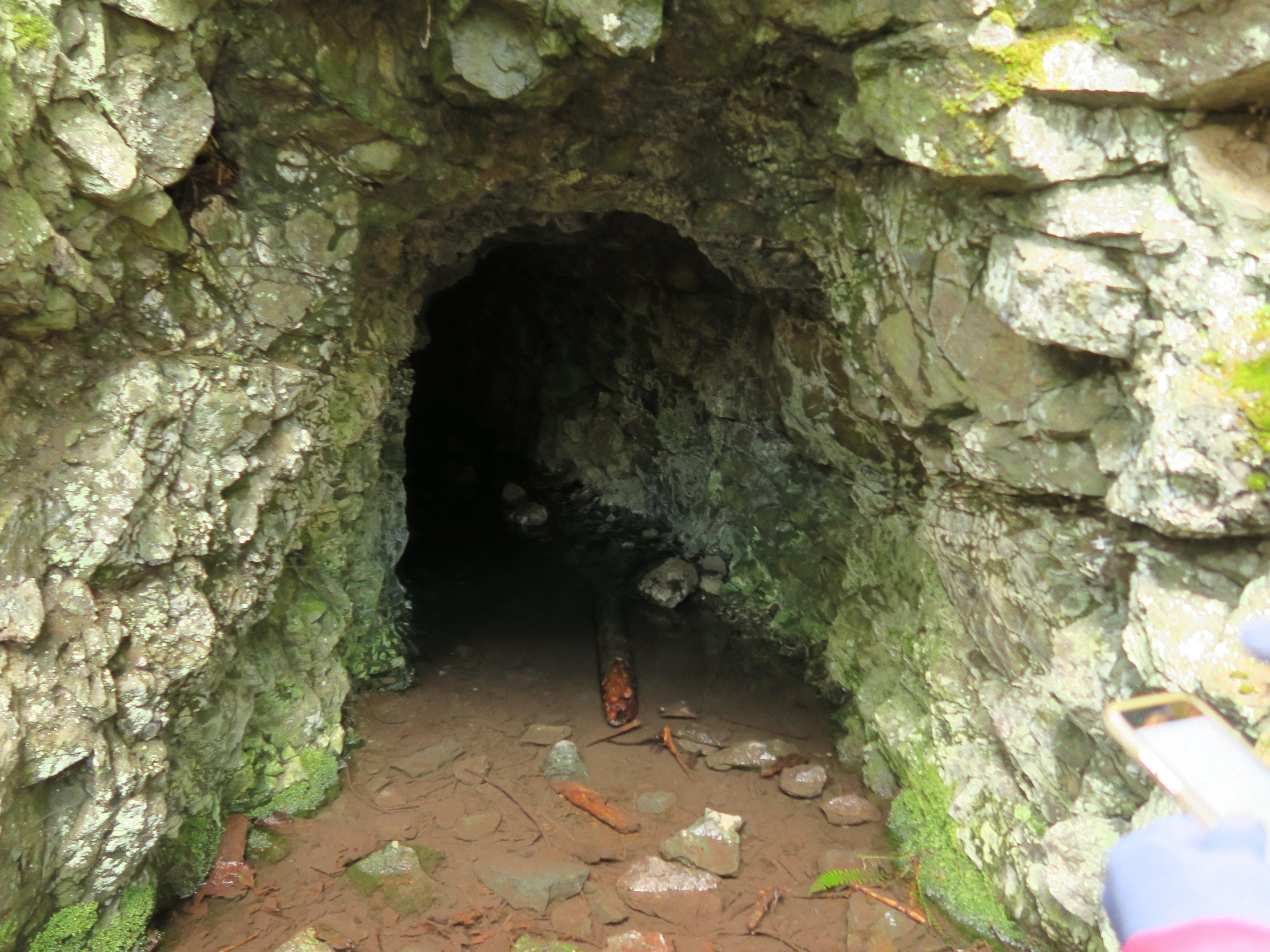 John Tursi Trail — Washington Trails Association