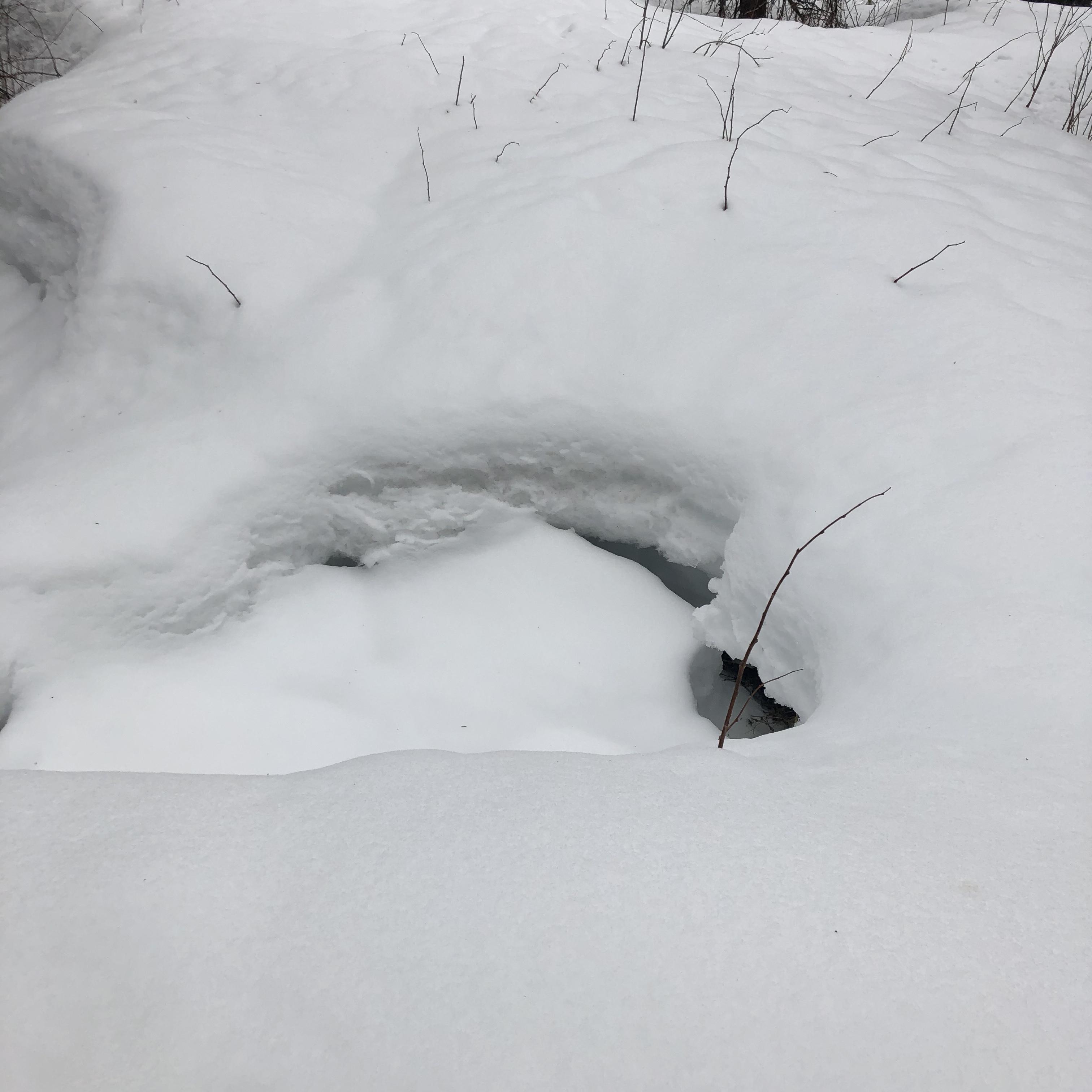Heather Lake — Washington Trails Association