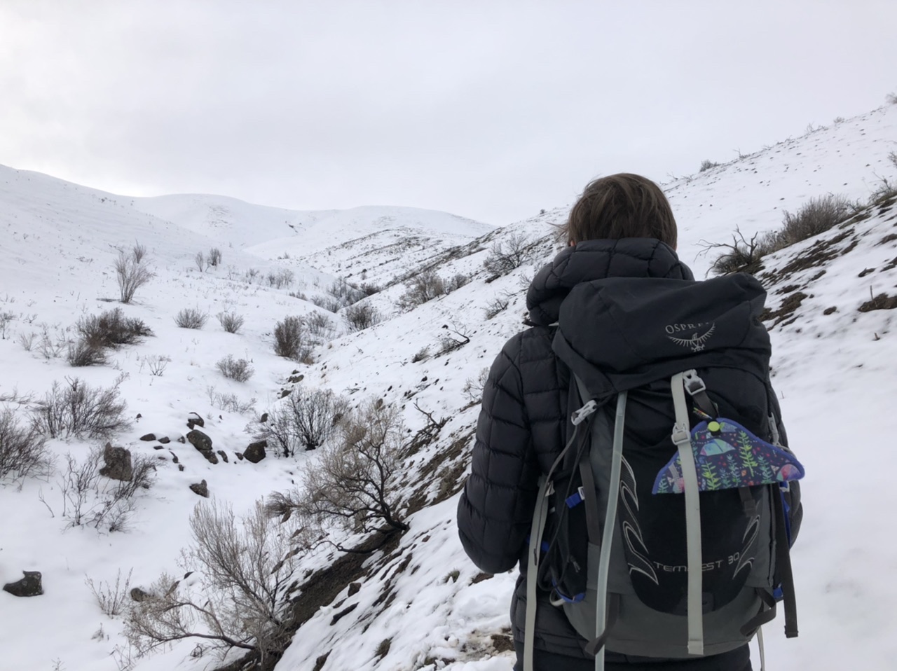 Umtanum Ridge Crest — Washington Trails Association