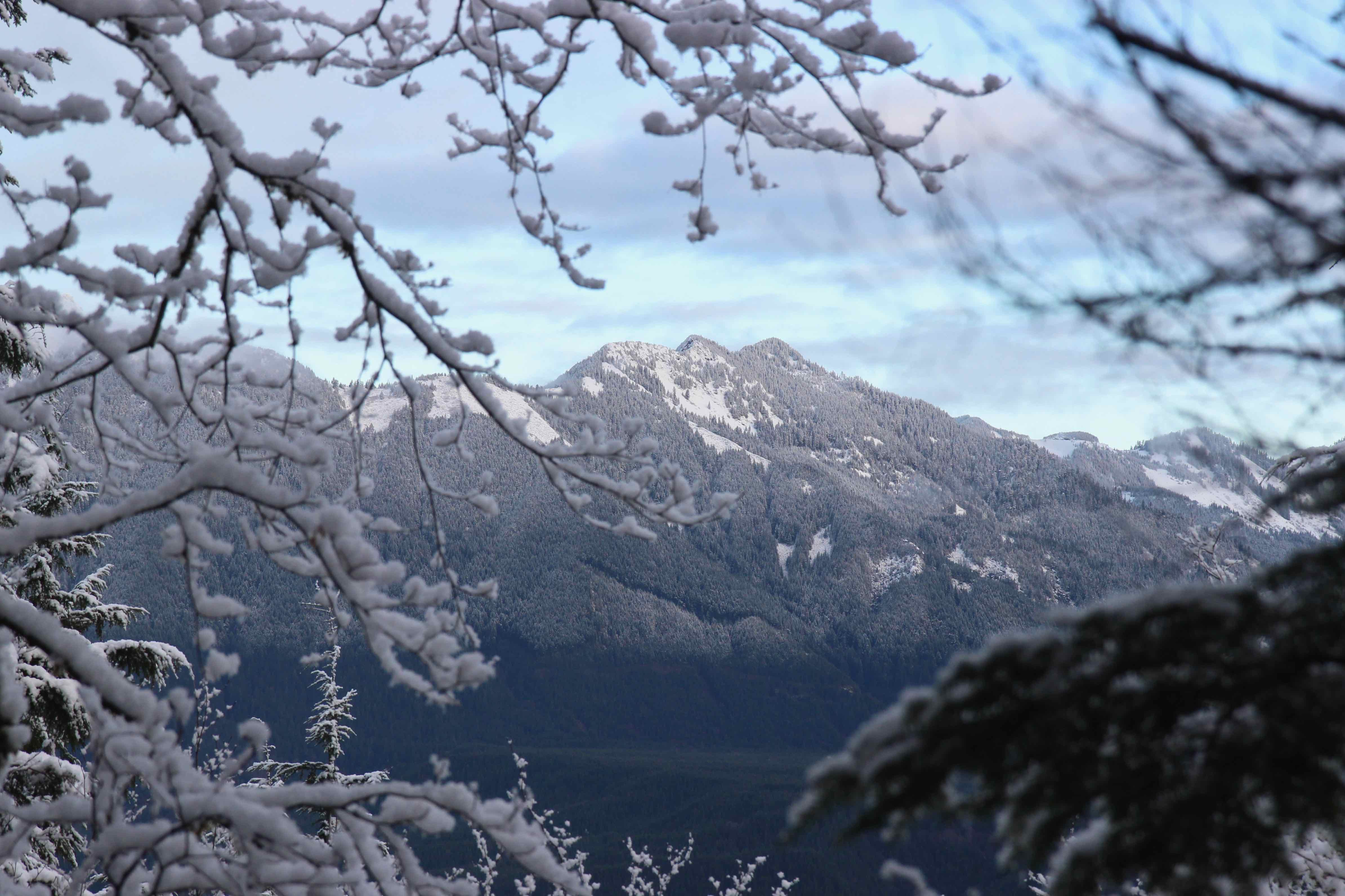 Mount Washington — Washington Trails Association