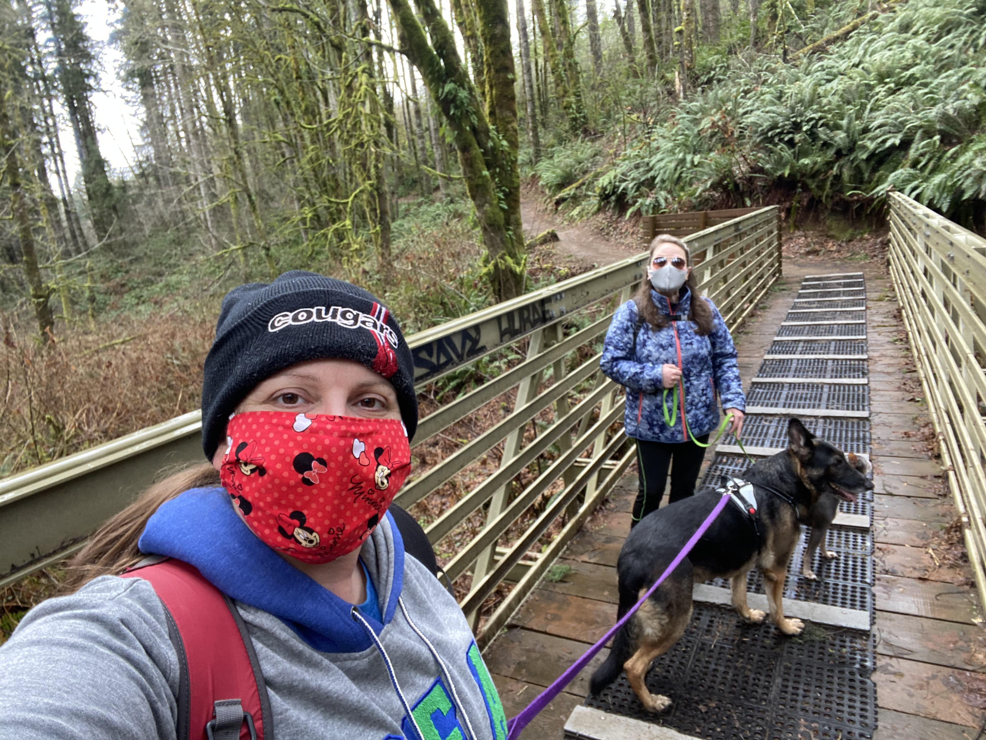 Capitol State Forest - Mima Falls Loop — Washington Trails Association