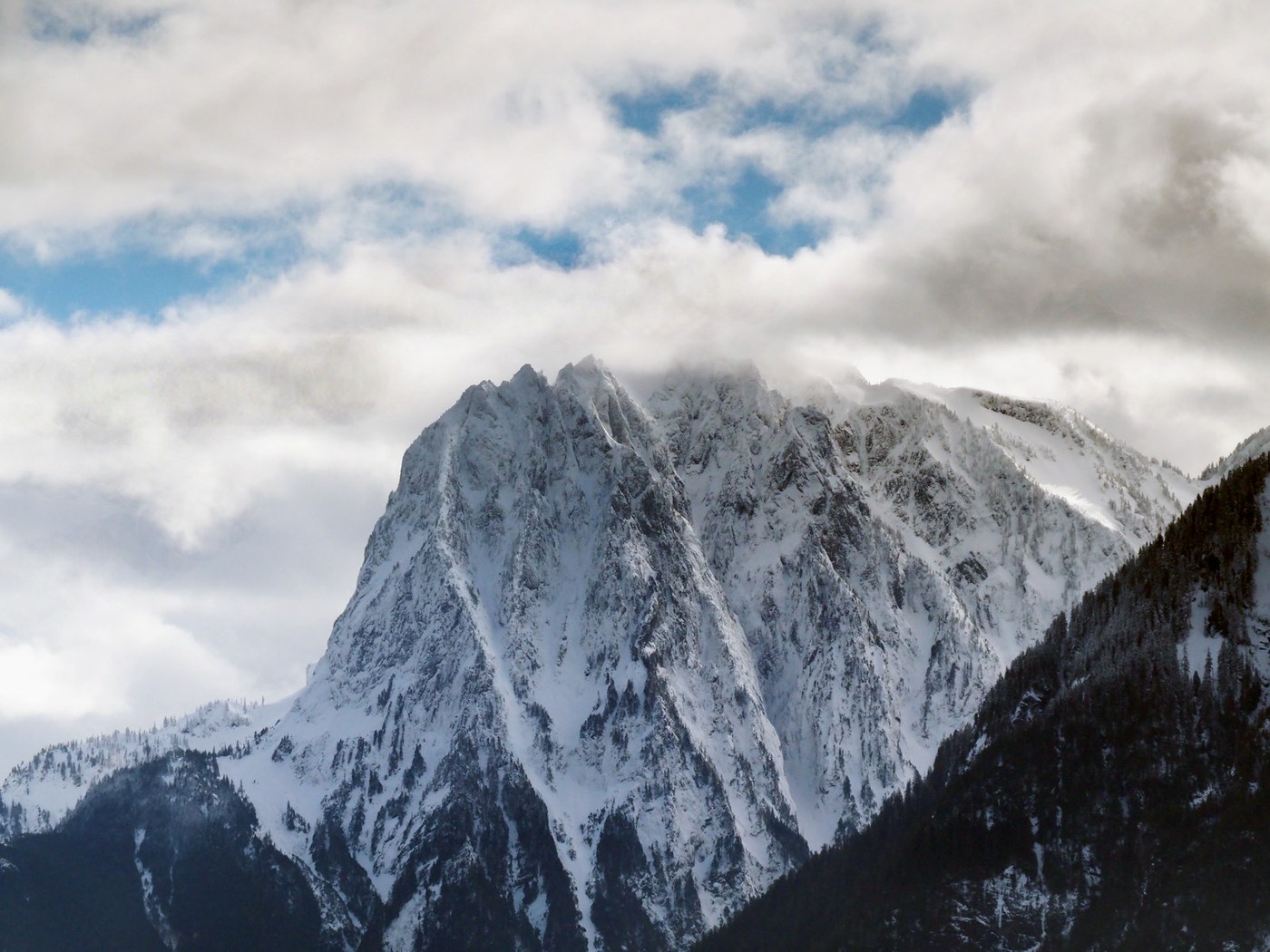 Reiter Foothills Forest Trails — Washington Trails Association