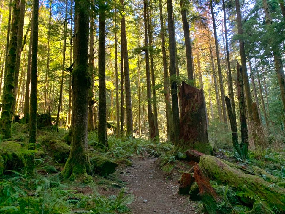Little Si, Boulder Garden Loop — Washington Trails Association