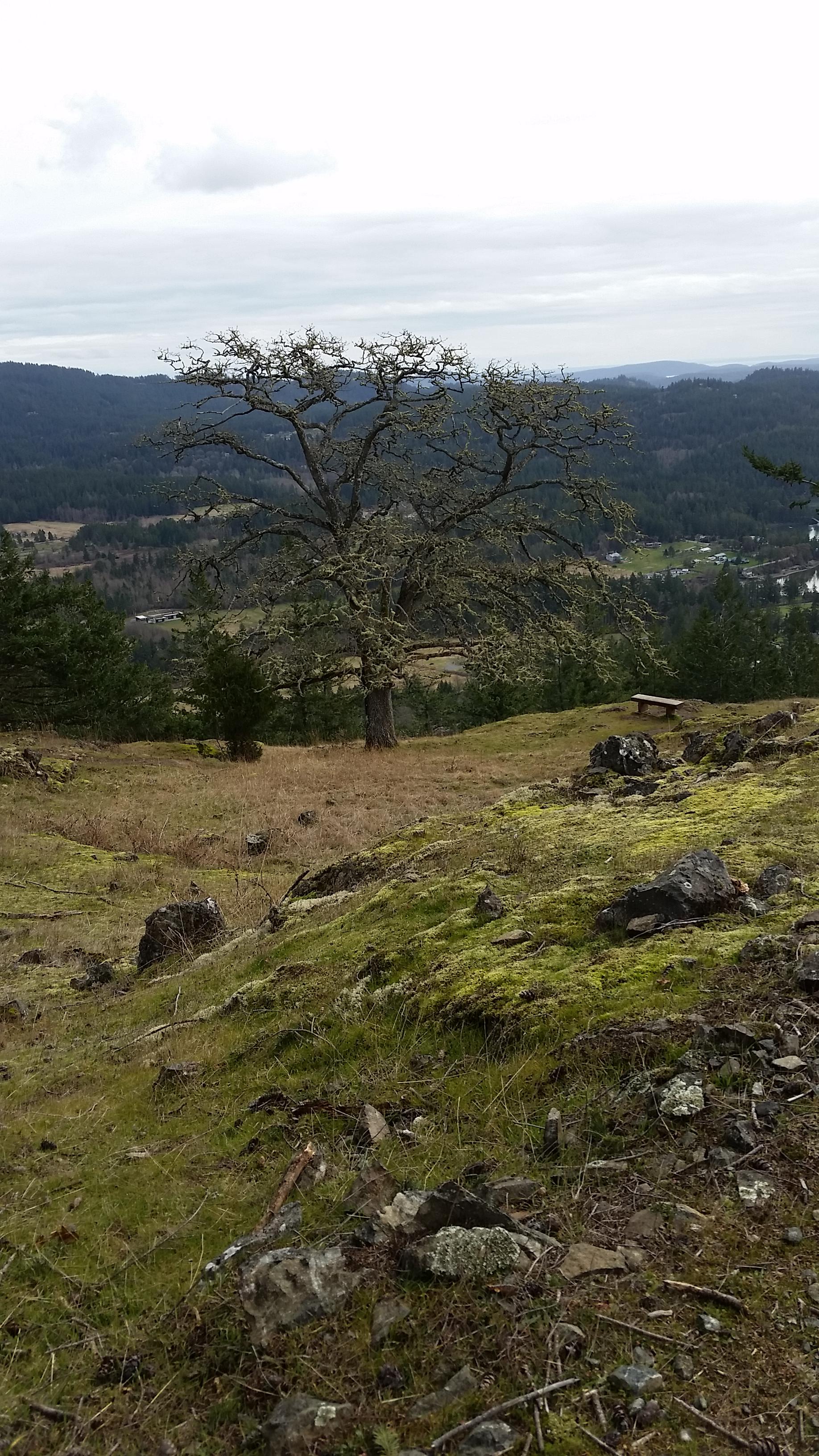 Turtleback Mountain Preserve: Turtlehead Summit — Washington Trails ...
