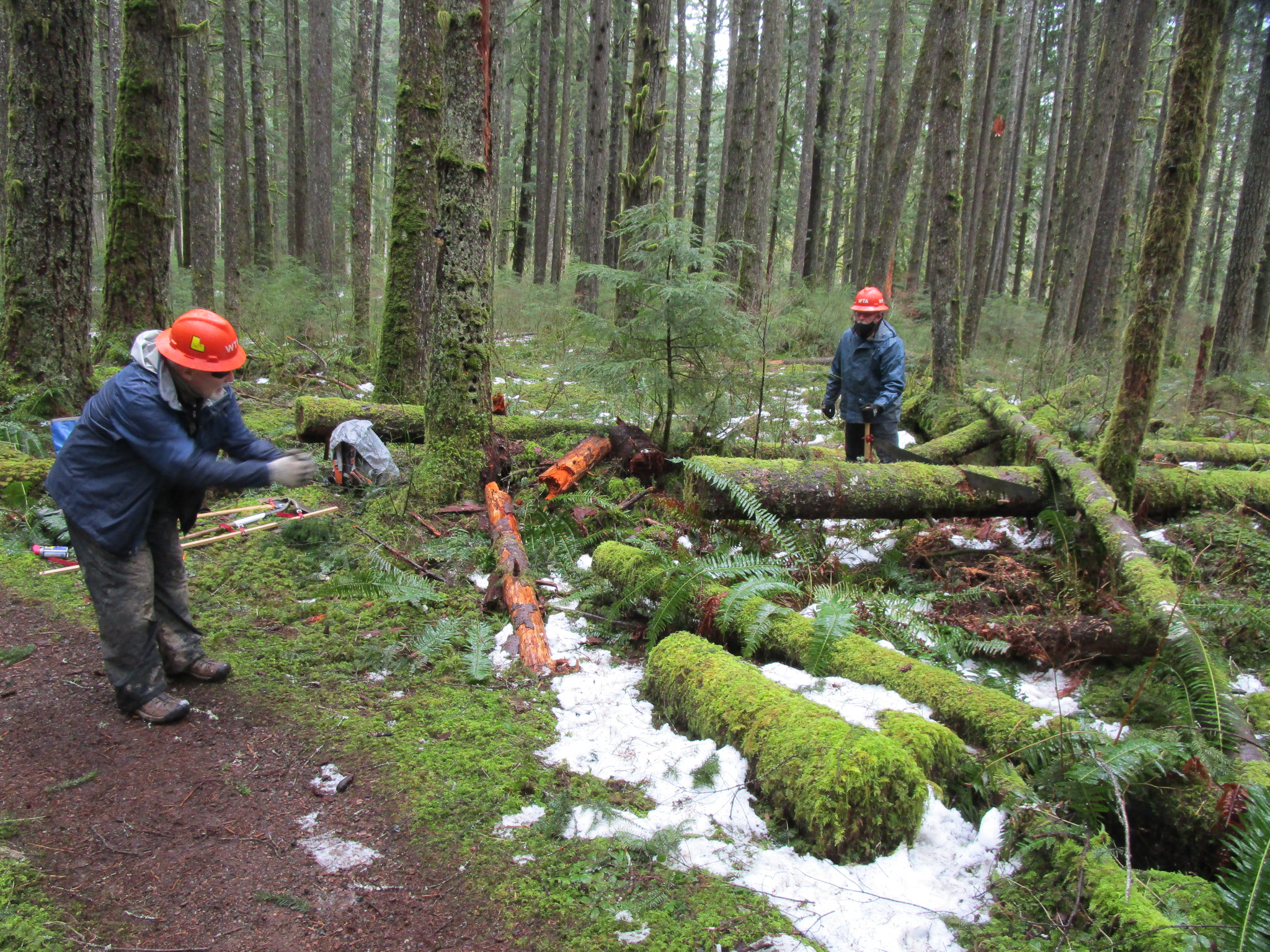 Middle Fork Snoqualmie River — Washington Trails Association