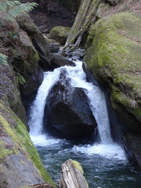 Racehorse Falls — Washington Trails Association