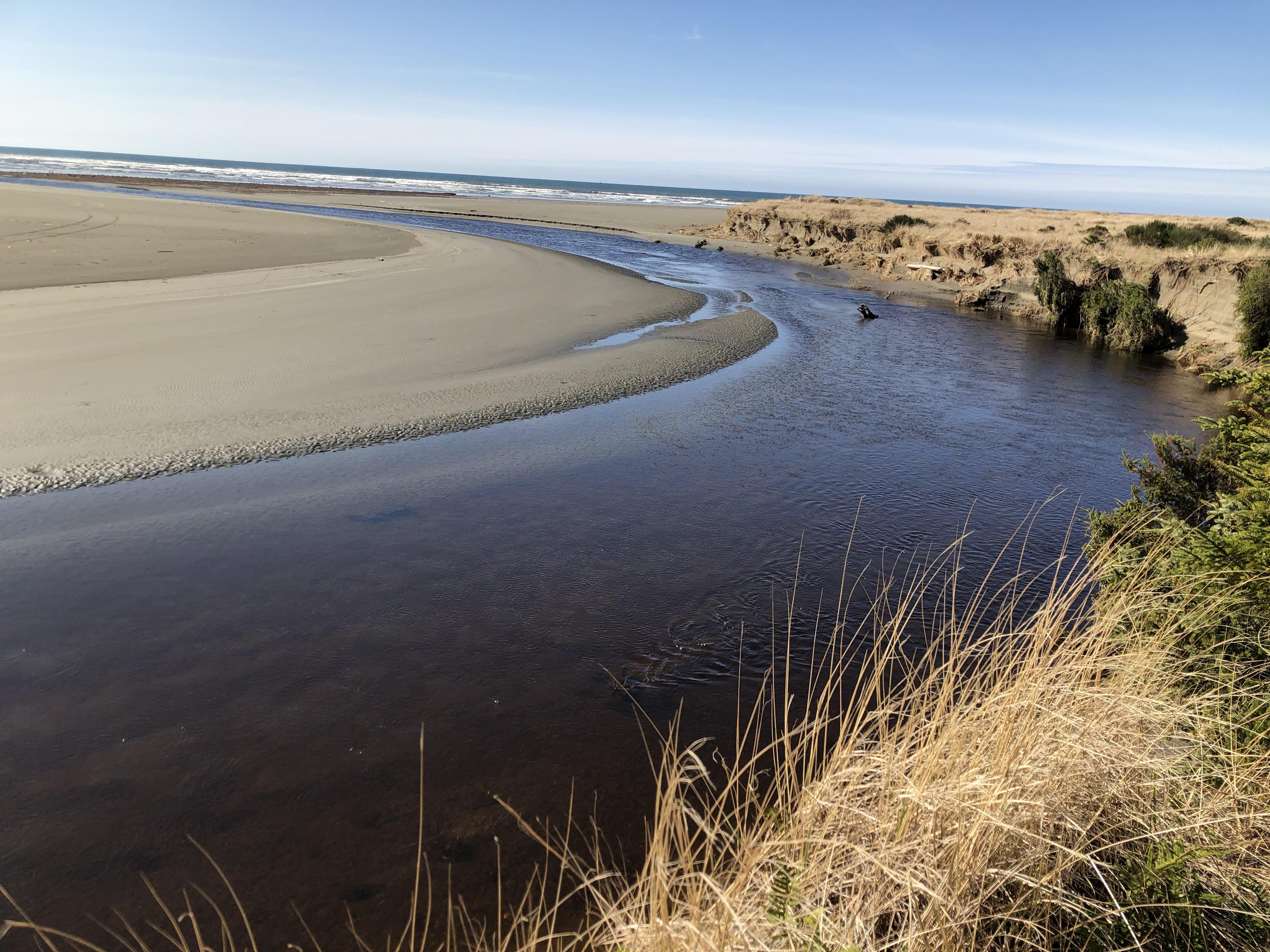 Griffiths-Priday State Park - Copalis River Spit — Washington Trails ...