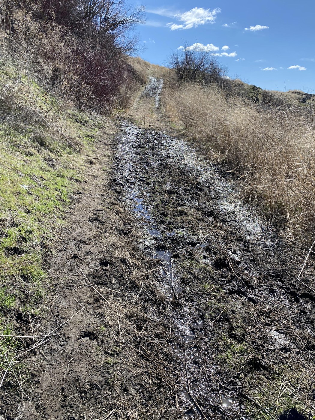 Escure Ranch - Towell Falls — Washington Trails Association