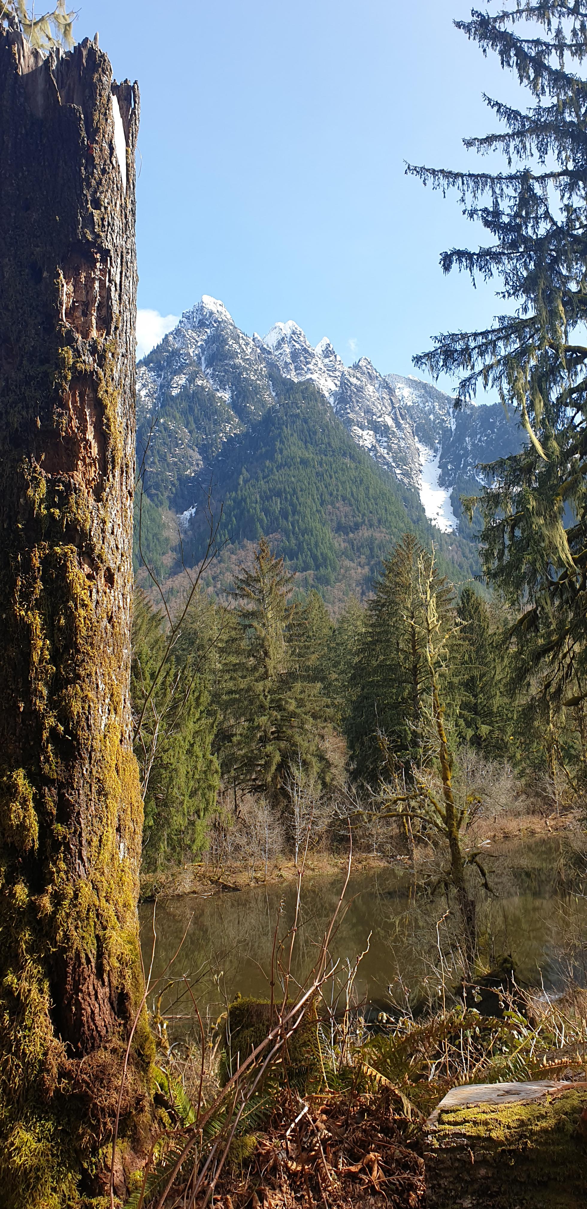 Oxbow Loop Trail — Washington Trails Association